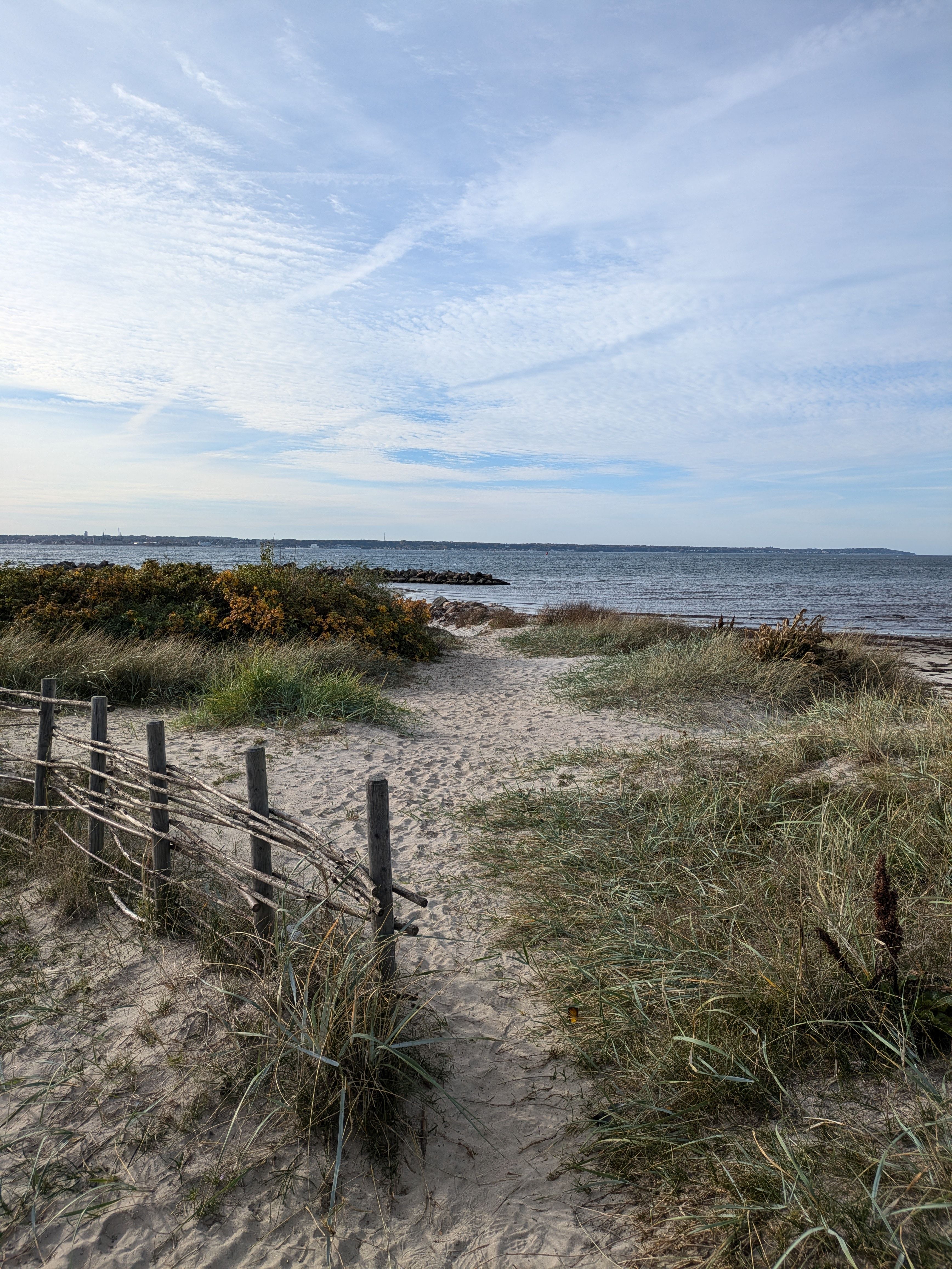 Tranquil Sandy Path Leading to the Ocean · Free Stock Photo