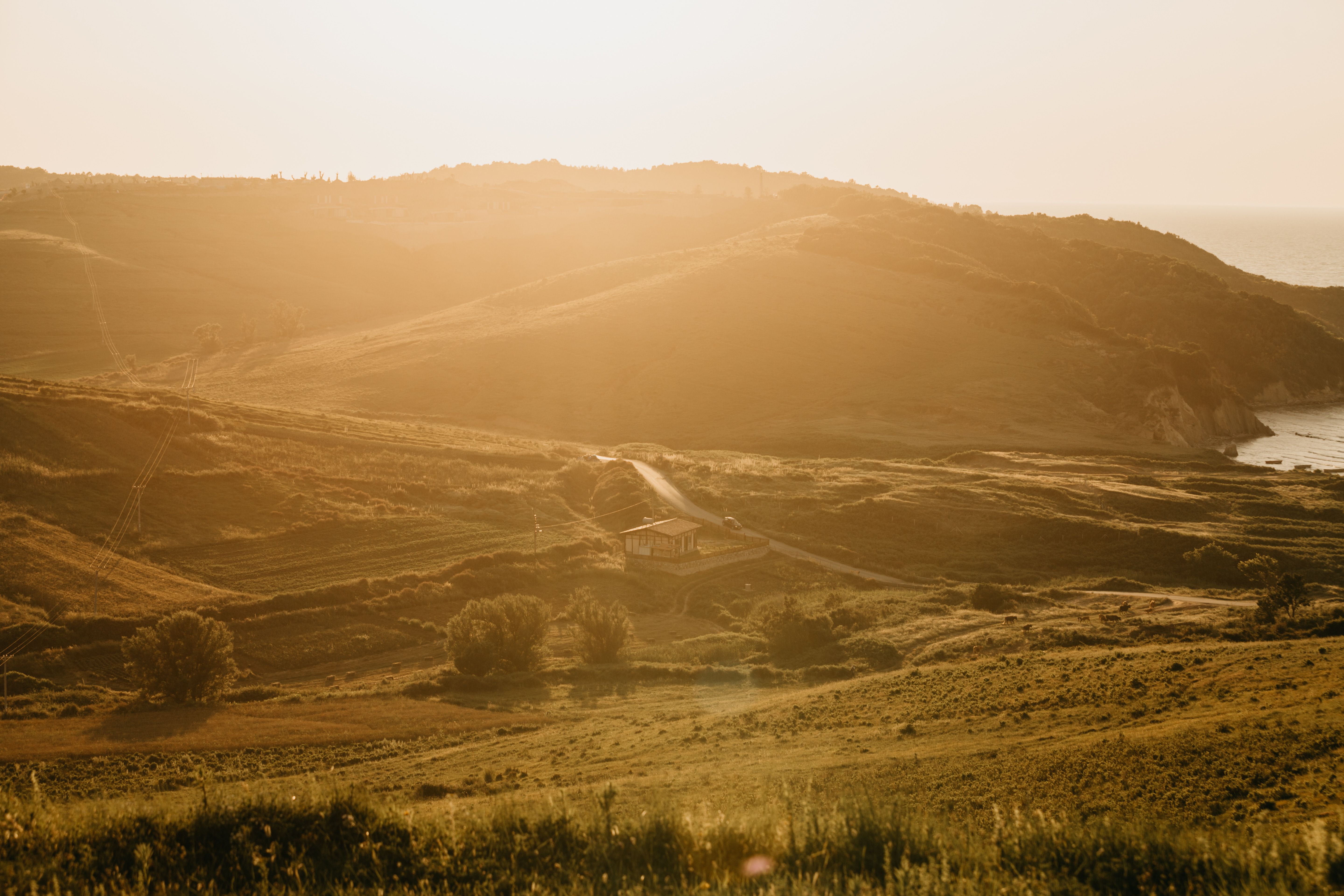 Golden Sunlit Landscape with Rolling Hills · Free Stock Photo