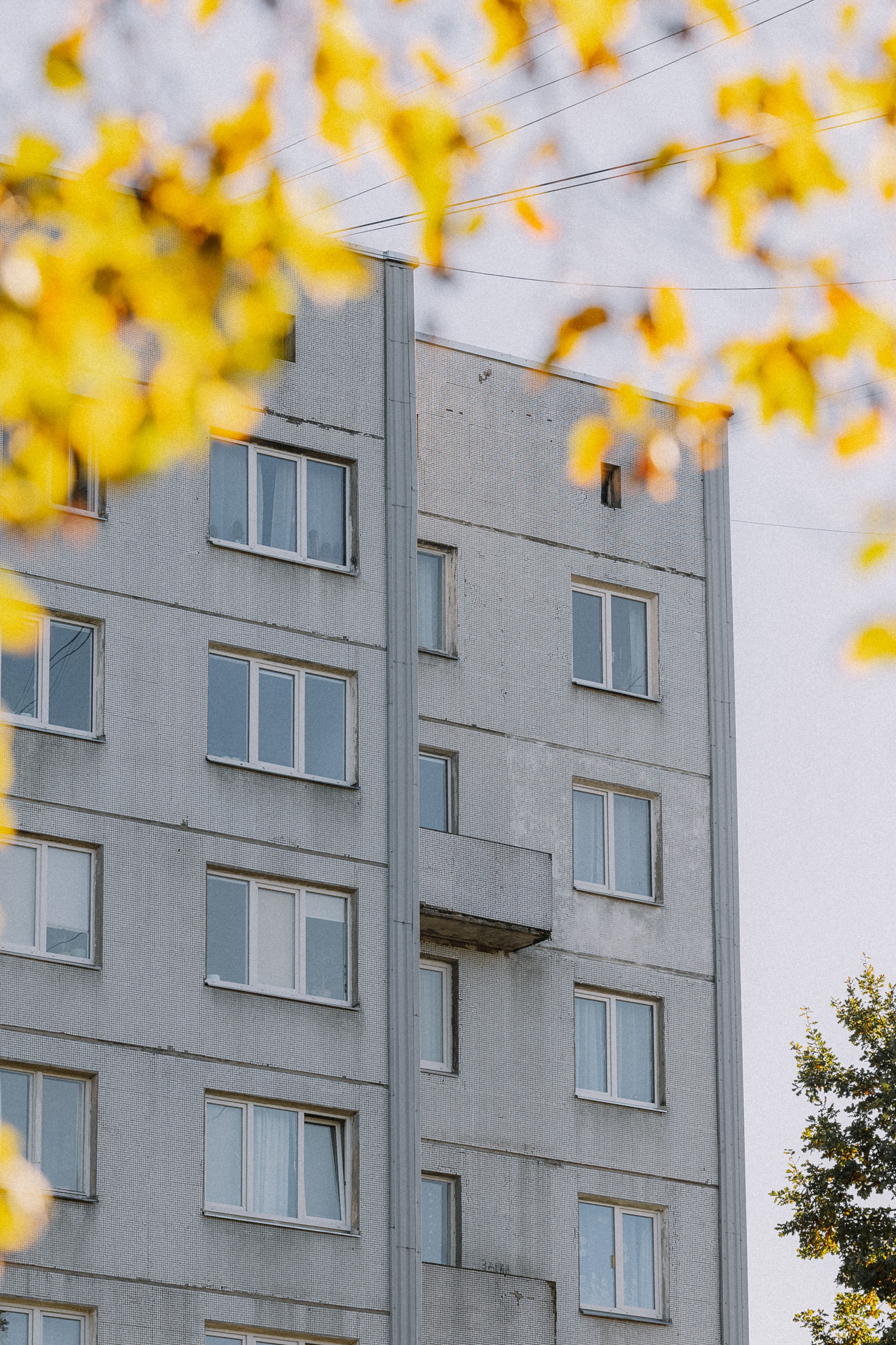 Residential Building with Autumn Foliage · Free Stock Photo