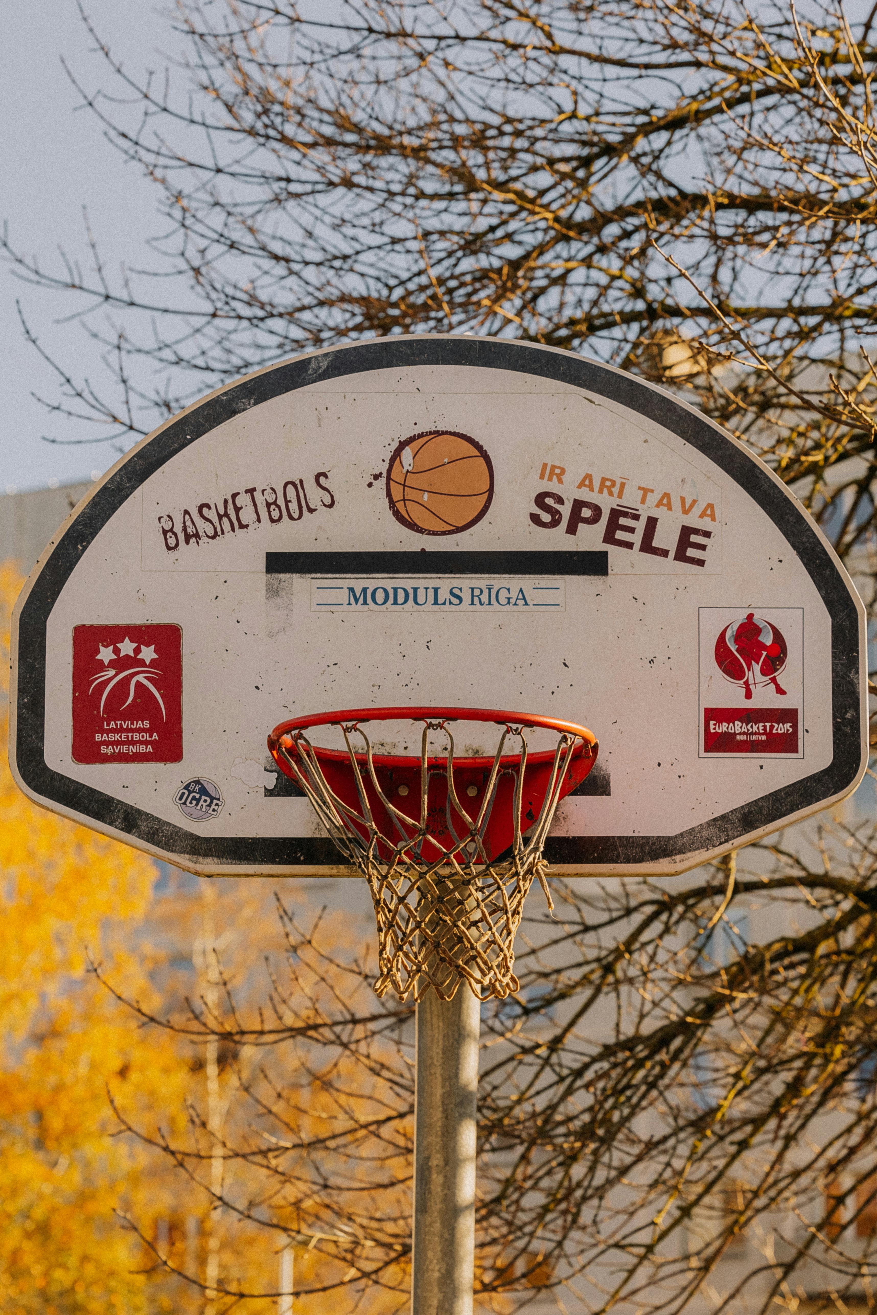 White Basketball Hoop · Free Stock Photo