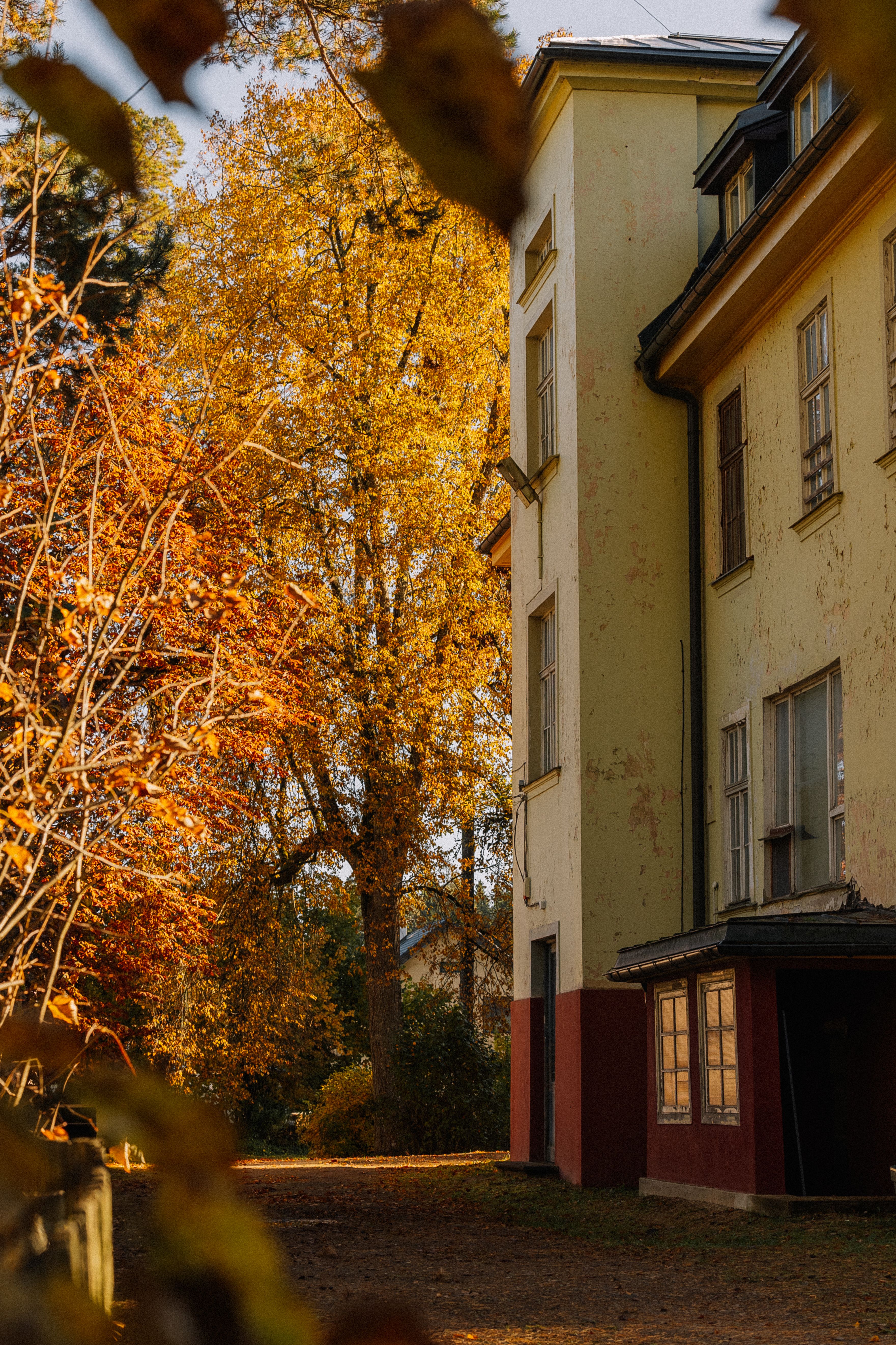 Autumn Urban Scene with Vintage Building · Free Stock Photo