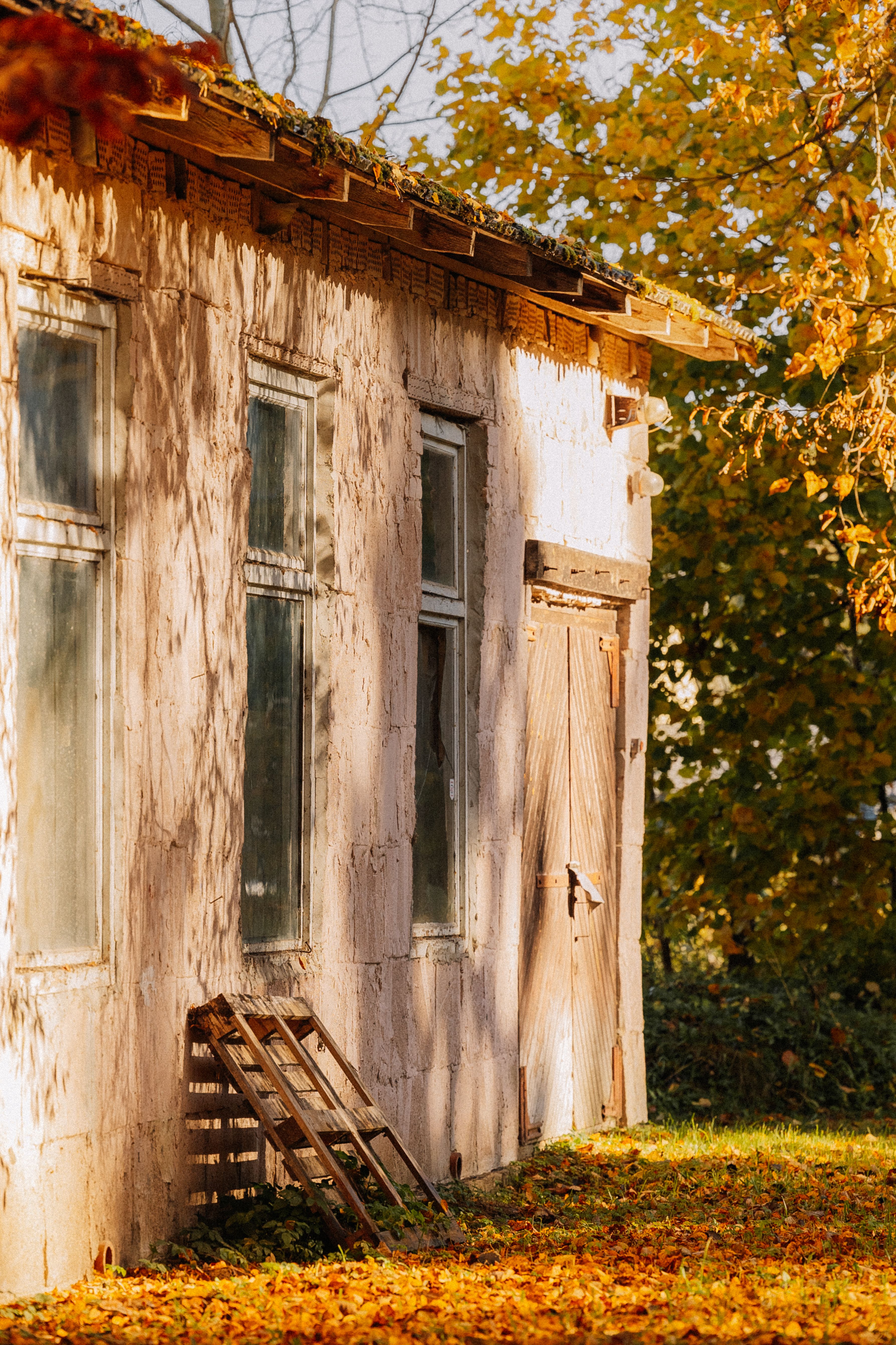 Rustic Autumn Shed in Golden Light · Free Stock Photo