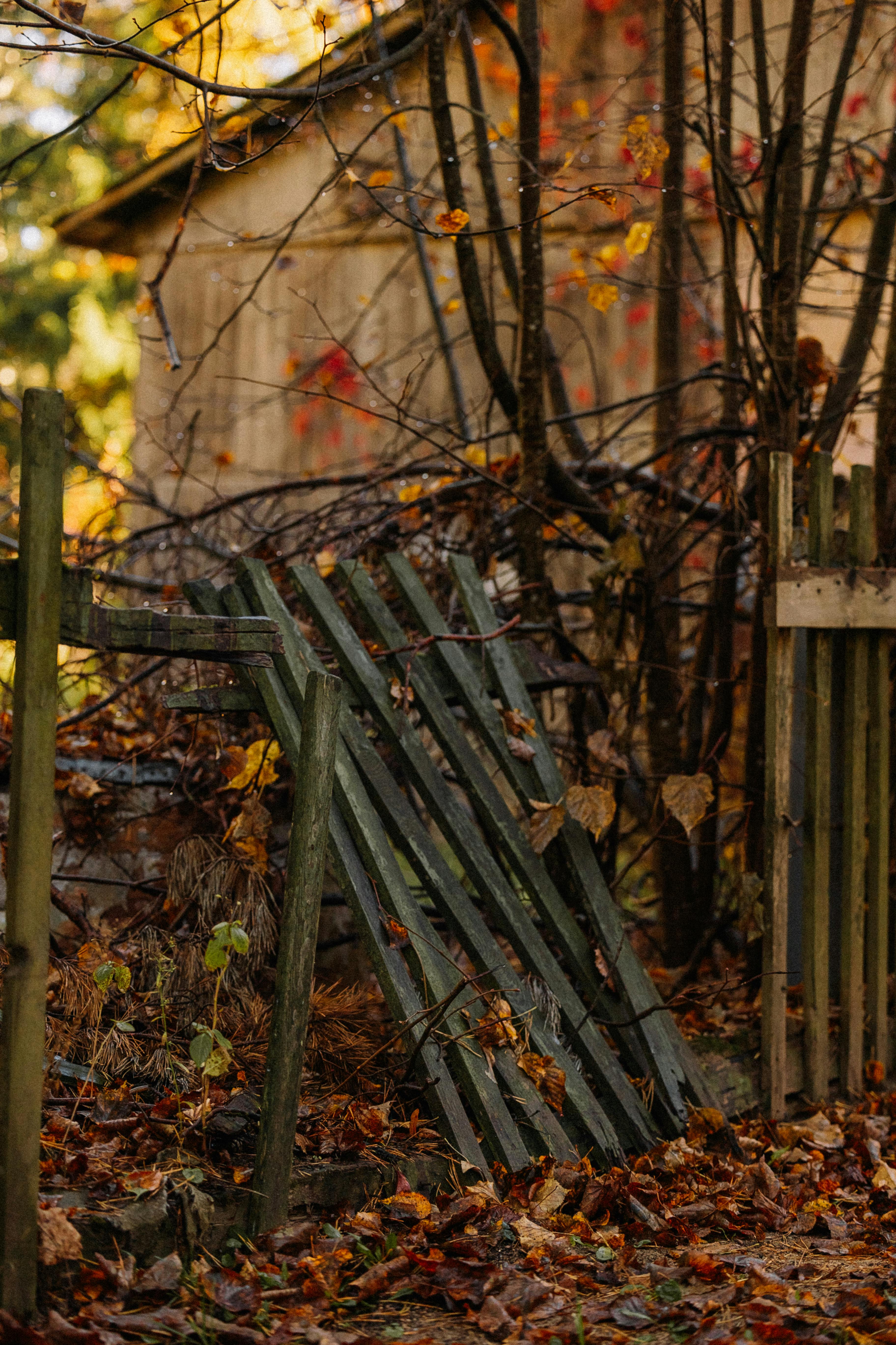Rustic Autumn Fence with Fallen Leaves · Free Stock Photo