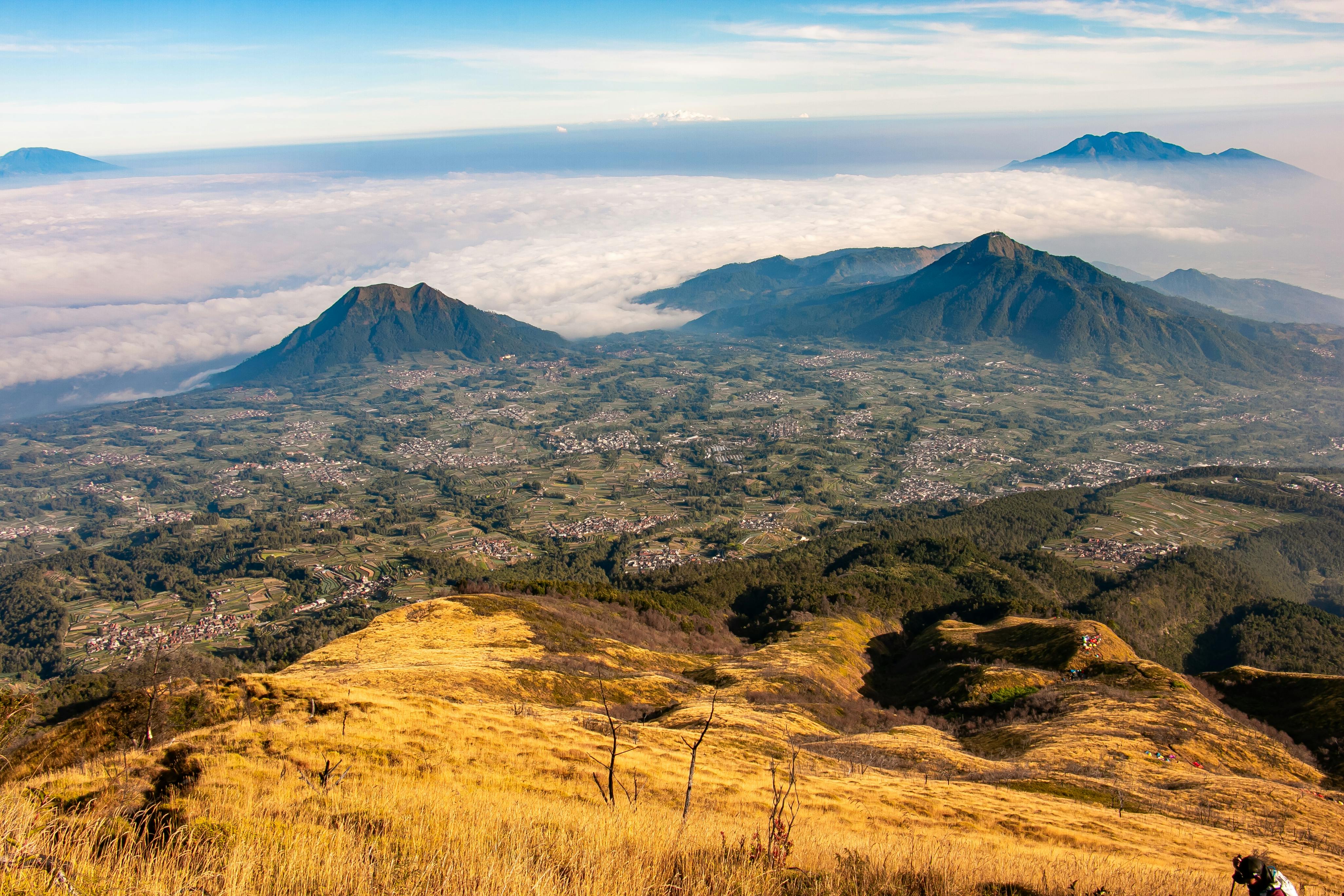 Pria Mengenakan Sweater Leher Kru Hitam Memegang Bendera Putih Dan ...