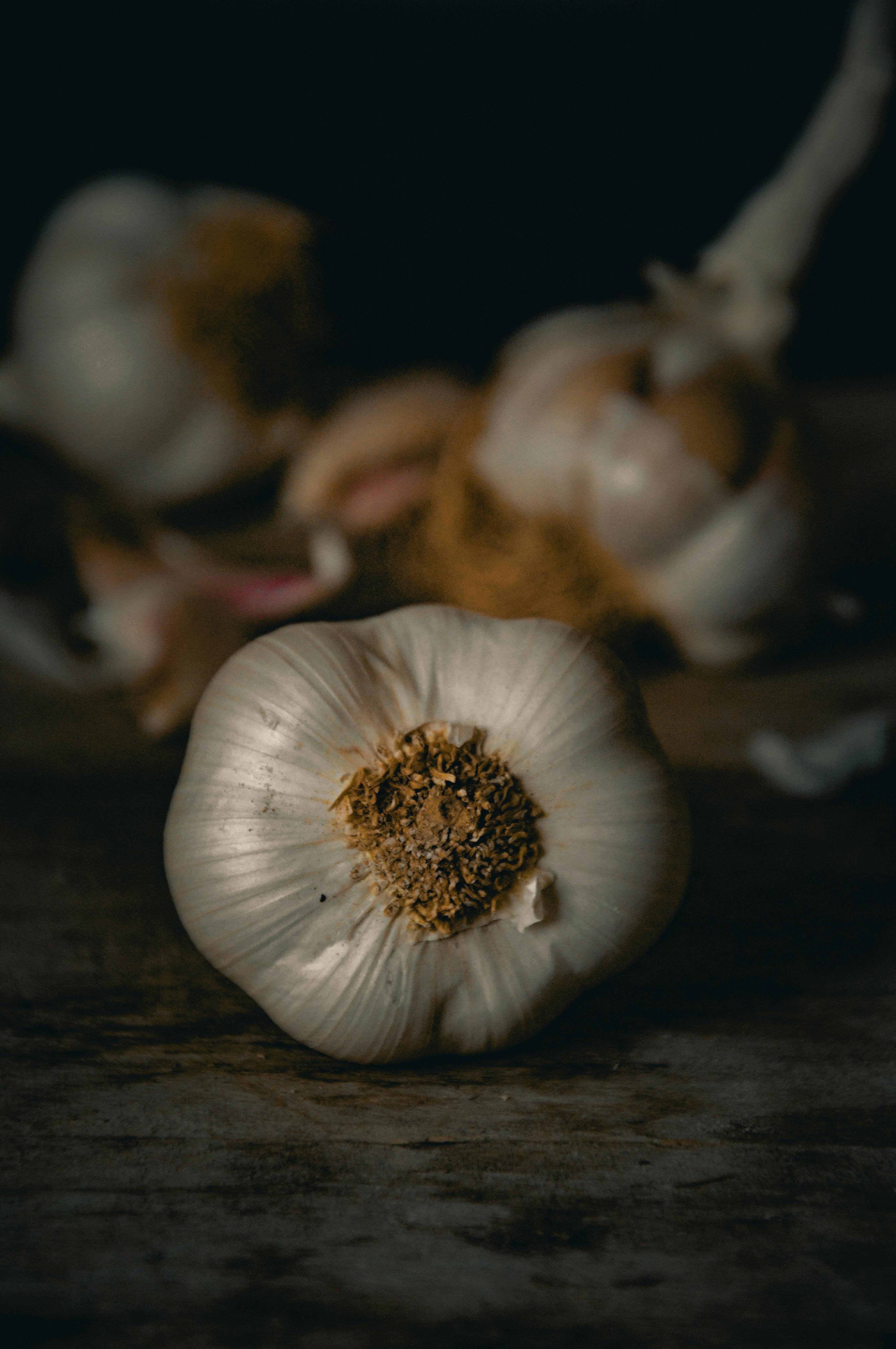 Dark Food Photos, Download The BEST Free Dark Food Stock Photos & HD Images