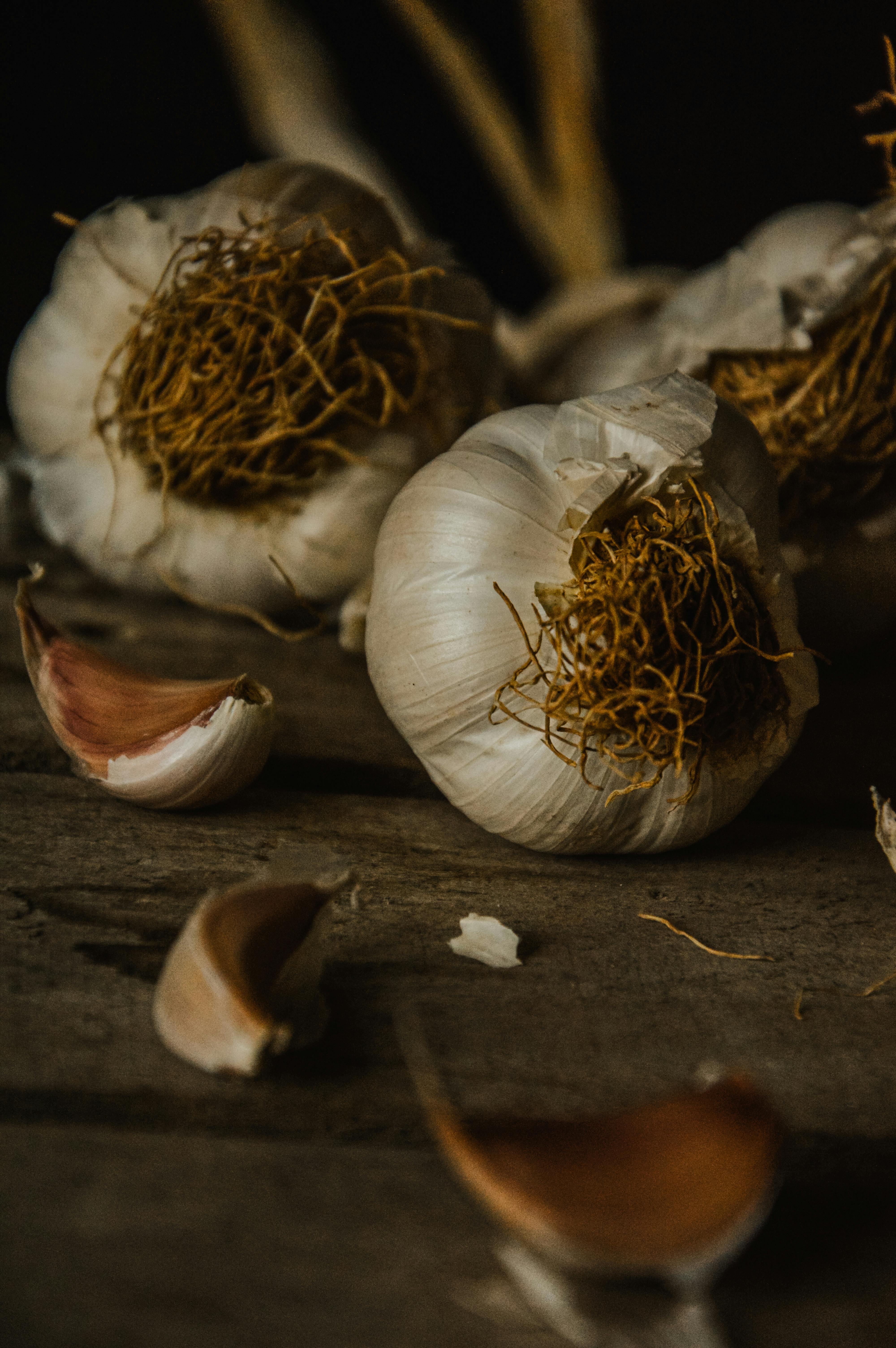 Two White Garlics · Free Stock Photo