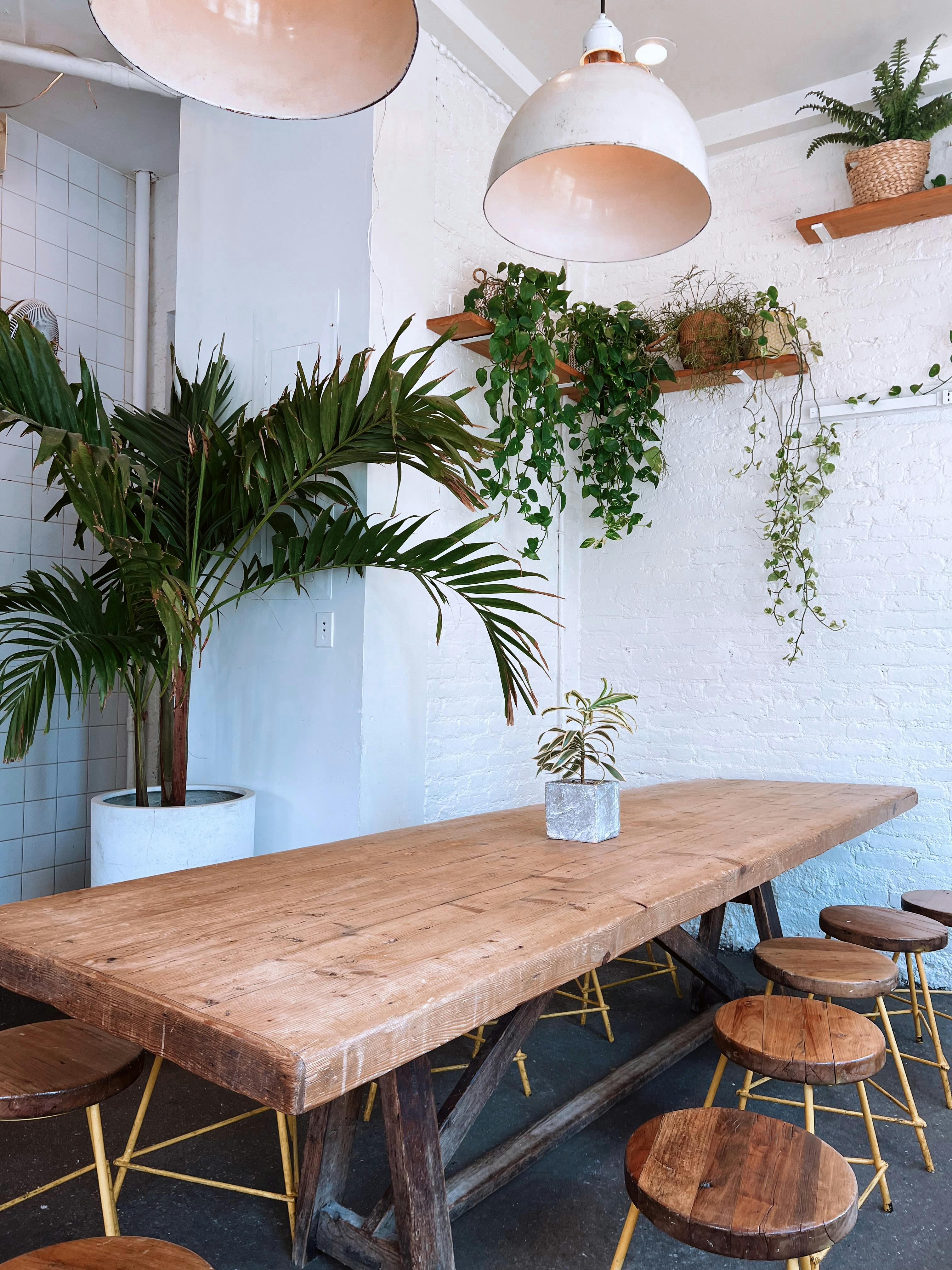 Bright Ambiance Photos, Download The BEST Free Bright Ambiance Stock ...