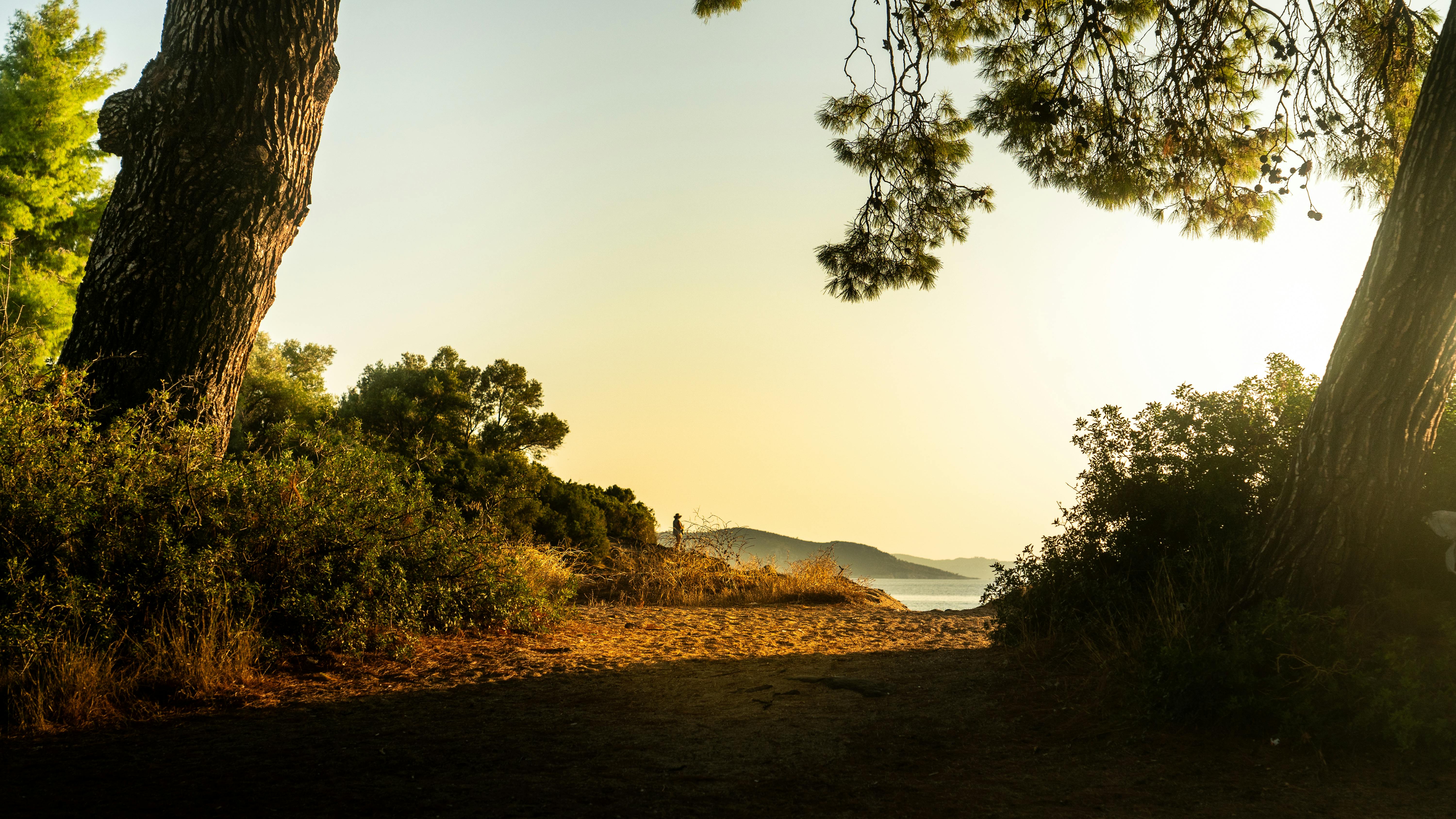 Sunset Pathway to Greek Beach with Trees Framing View · Free Stock Photo