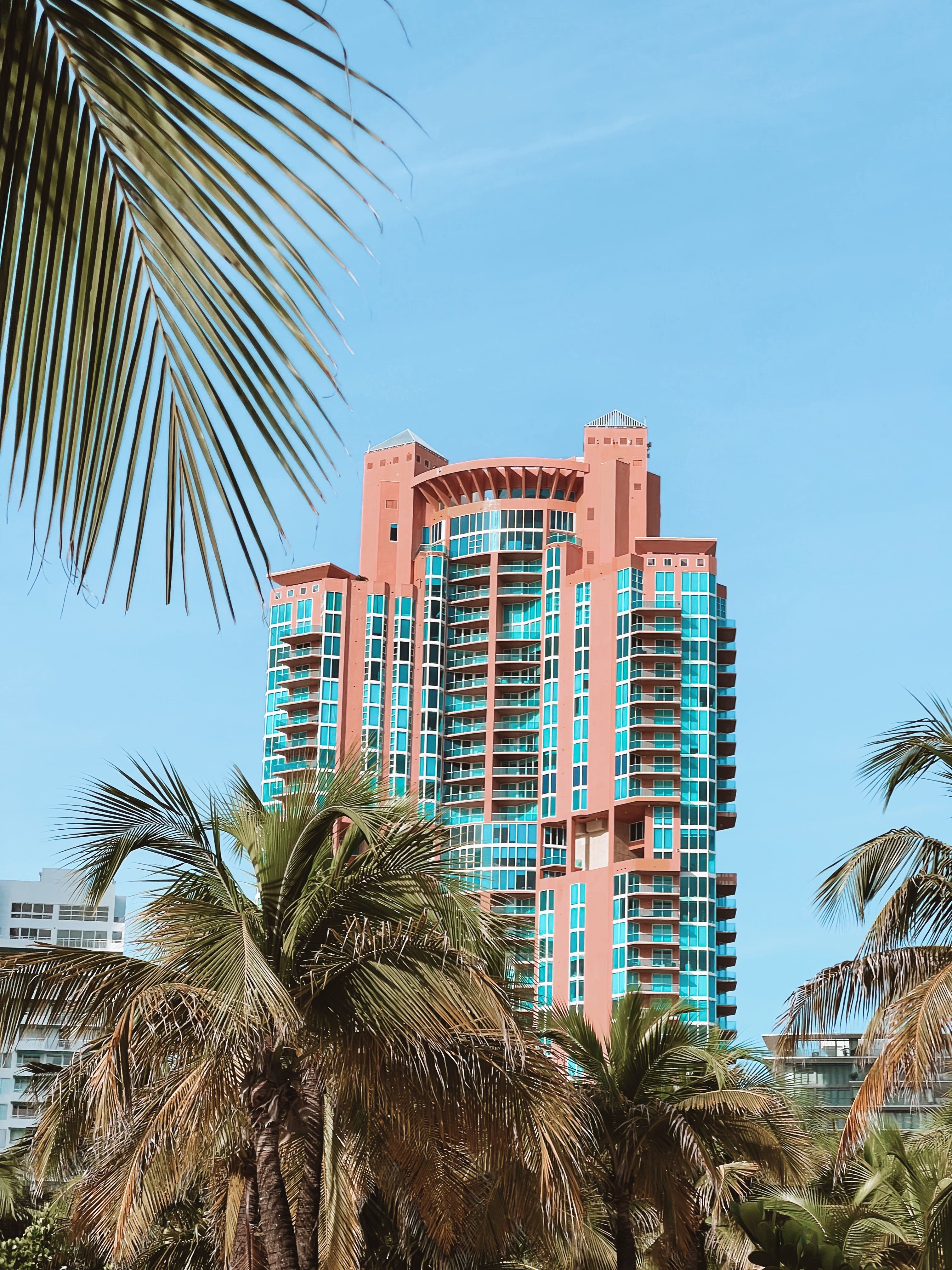 Tropical High-Rise Building With Palm Trees · Free Stock Photo