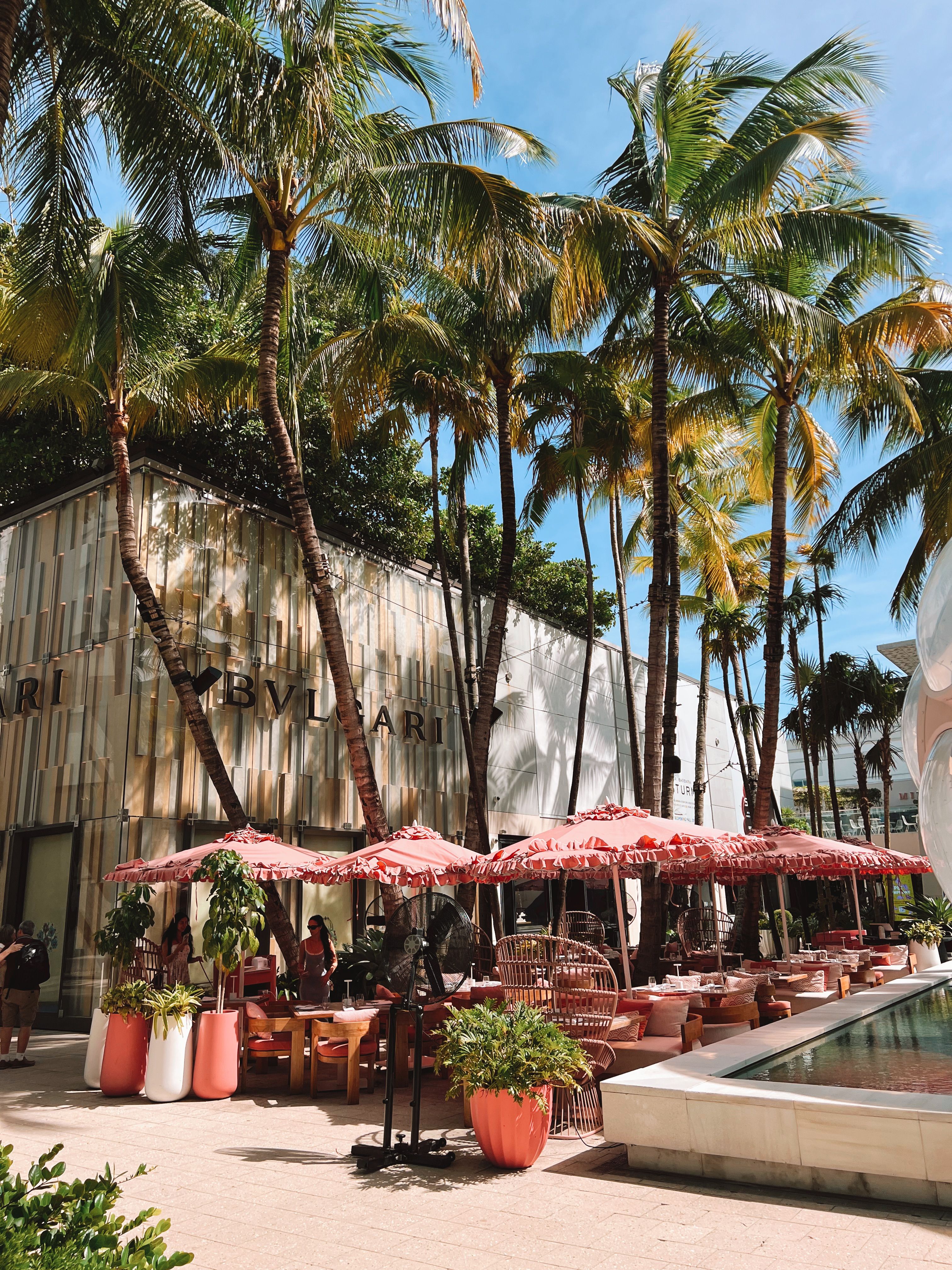 Outdoor Café with Palm Trees and Umbrellas · Free Stock Photo