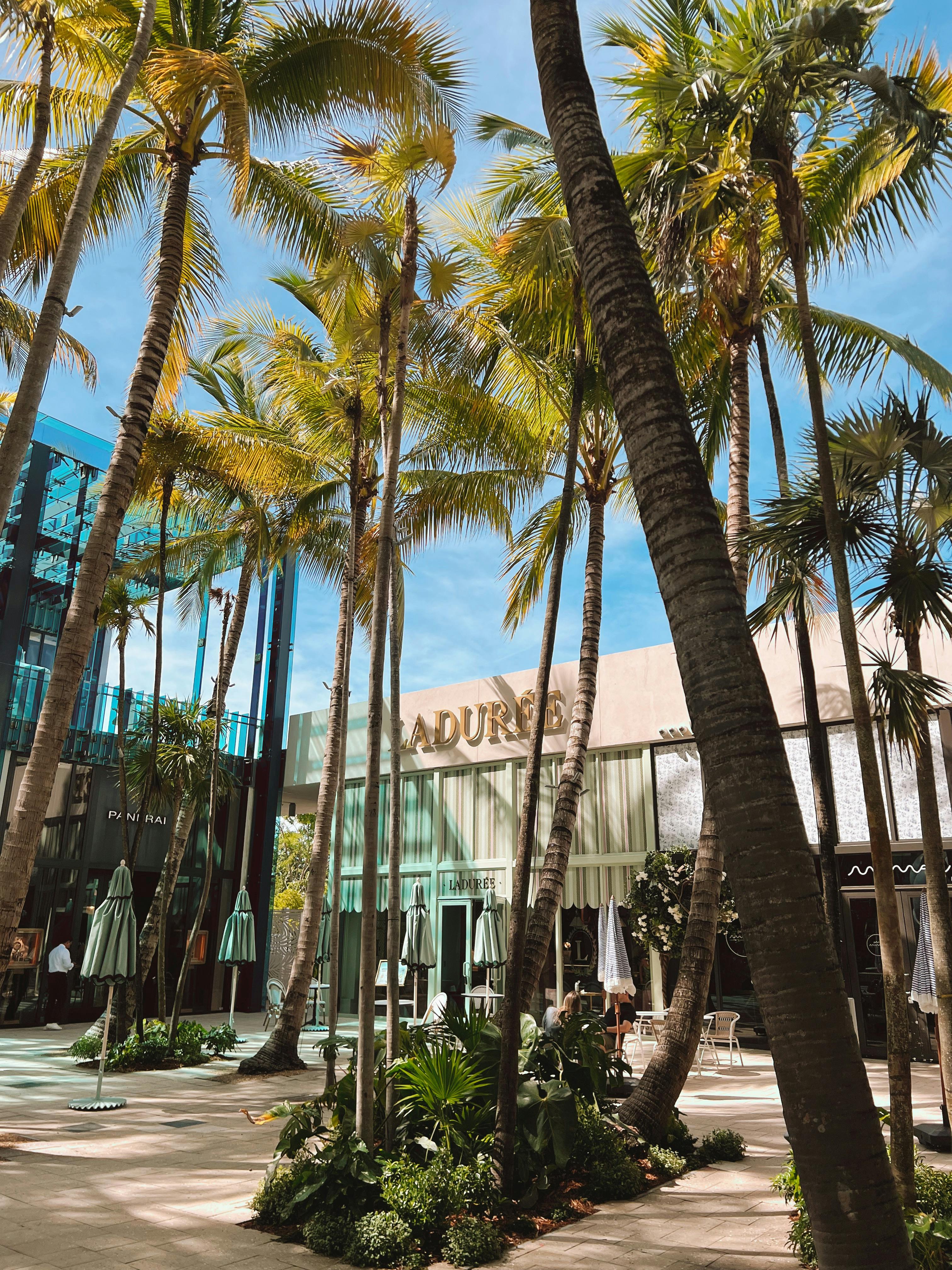 Tropical Outdoor Shopping Mall Courtyard Scene · Free Stock Photo