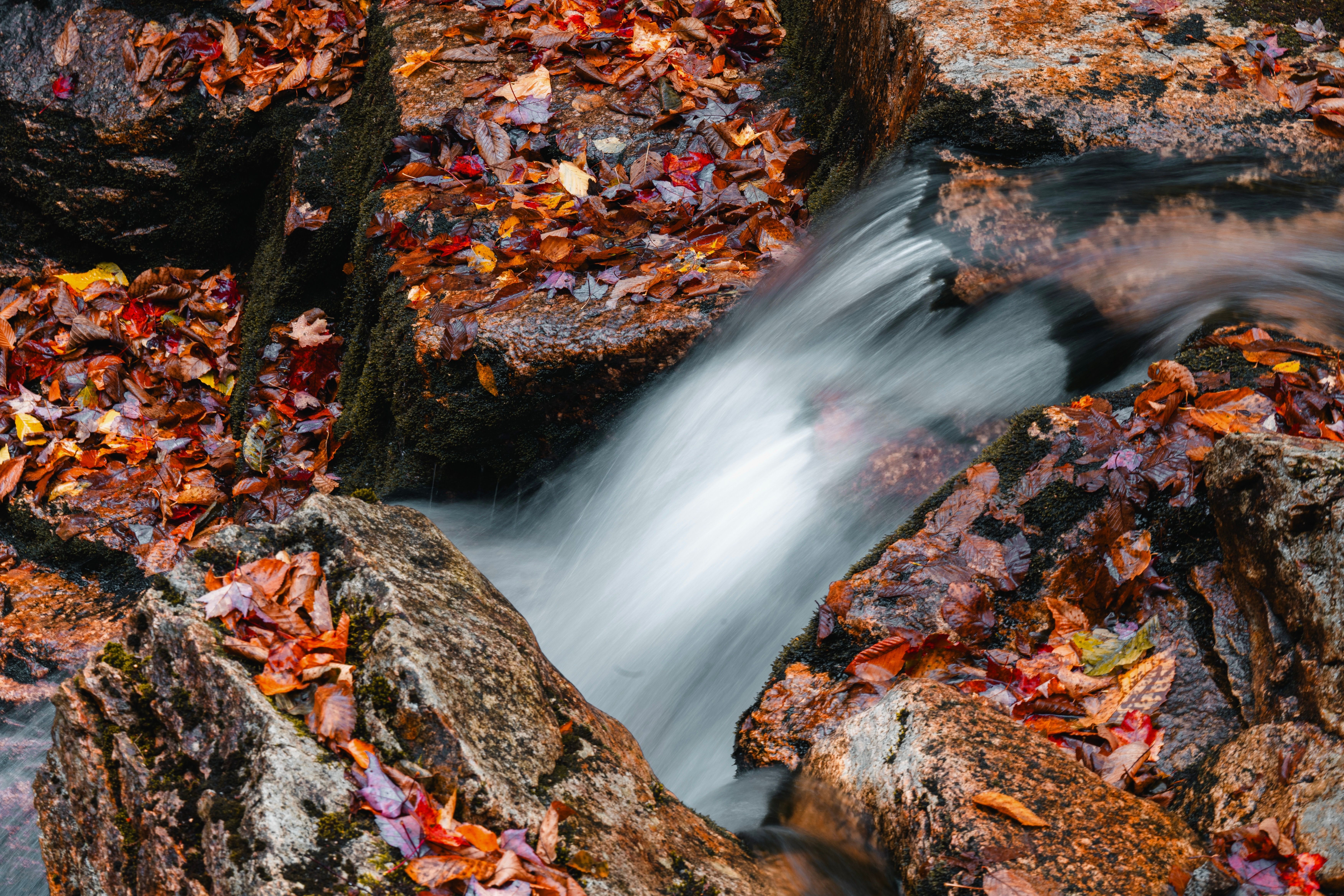 Serene Autumn Waterfall in Lincoln's Flume Gorge · Free Stock Photo