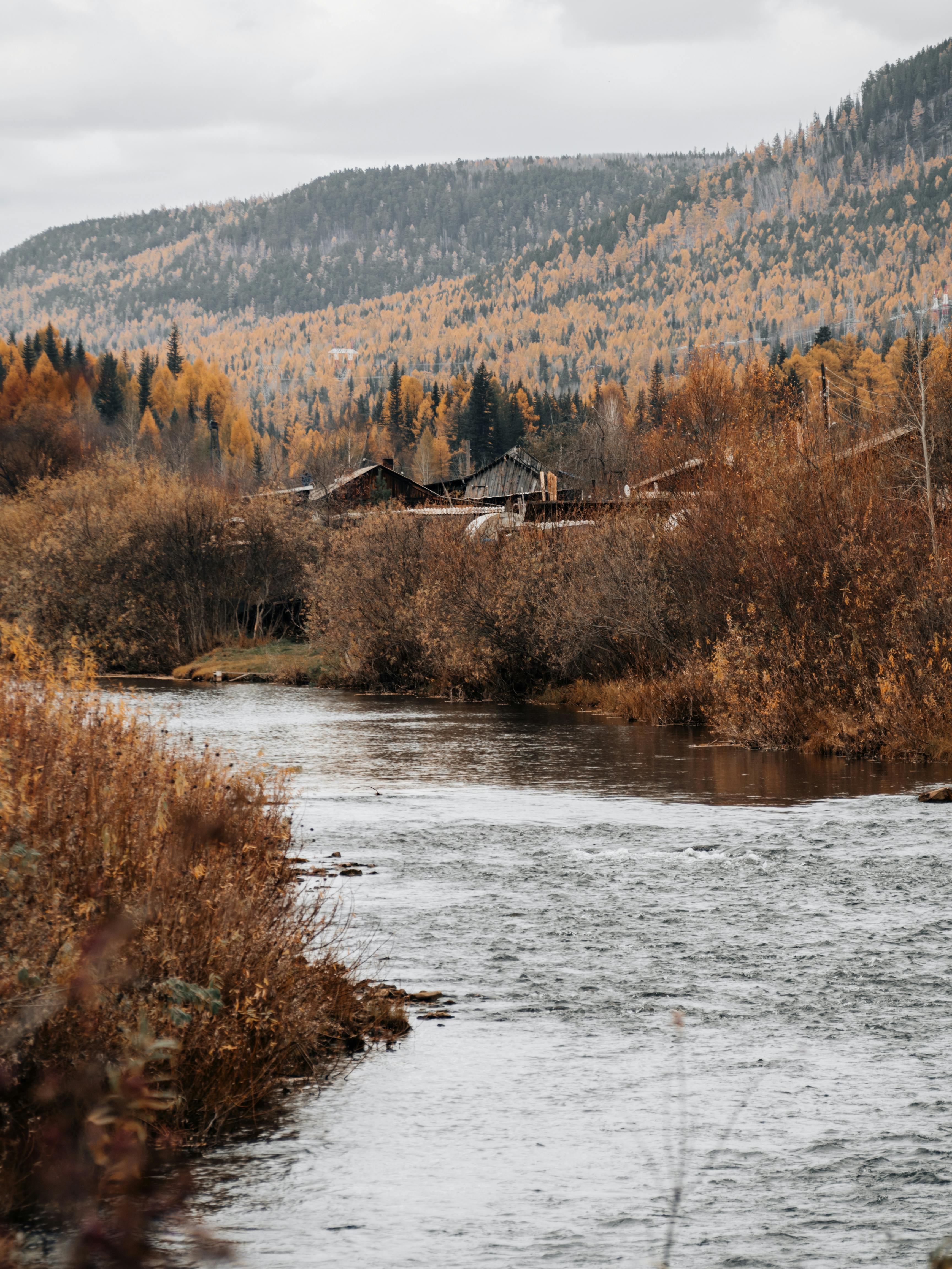 Beautiful Autumn Landscape in Ust-Kut, Russia · Free Stock Photo