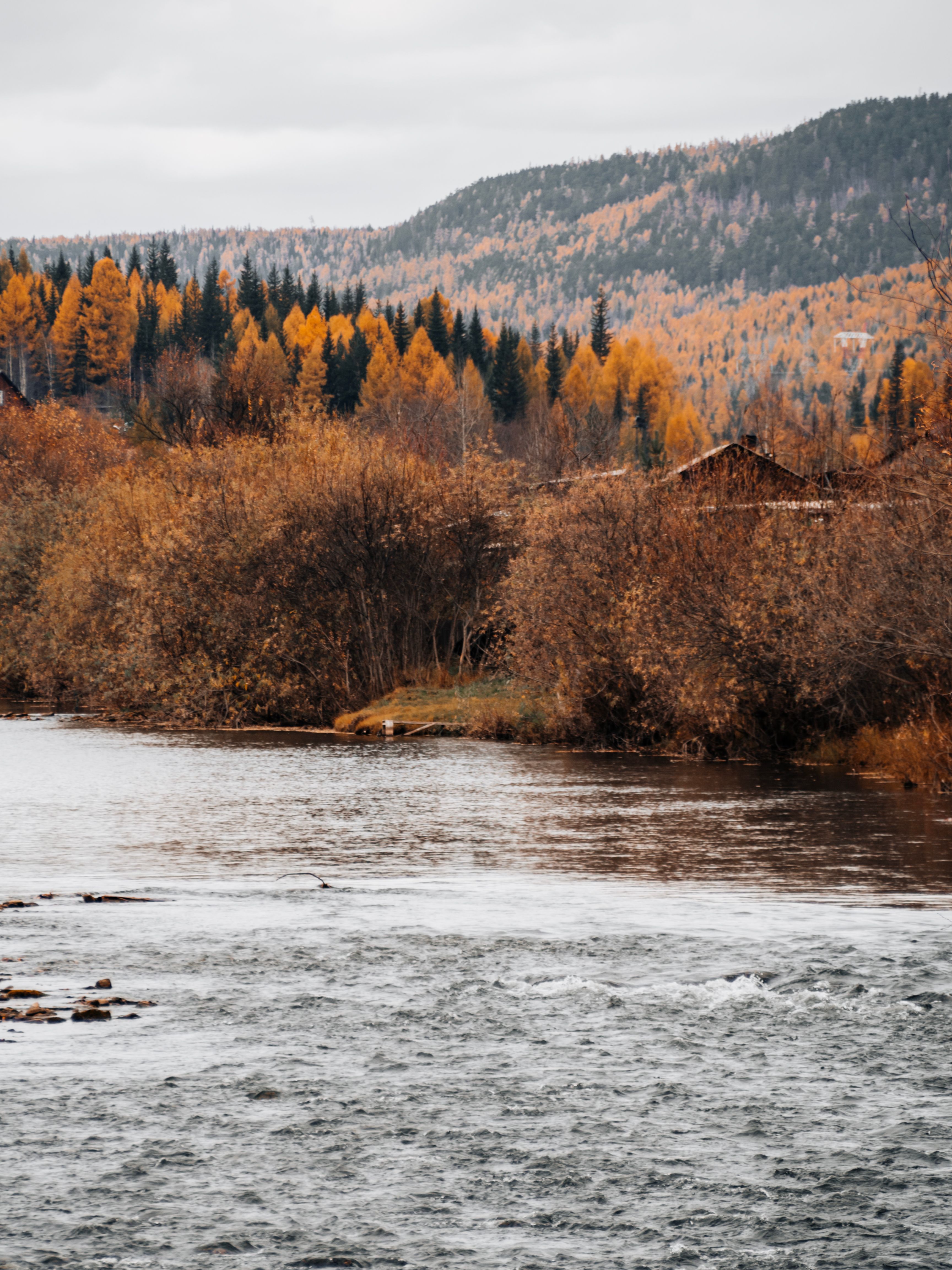 Autumn River Landscape in Irkutsk, Russia · Free Stock Photo