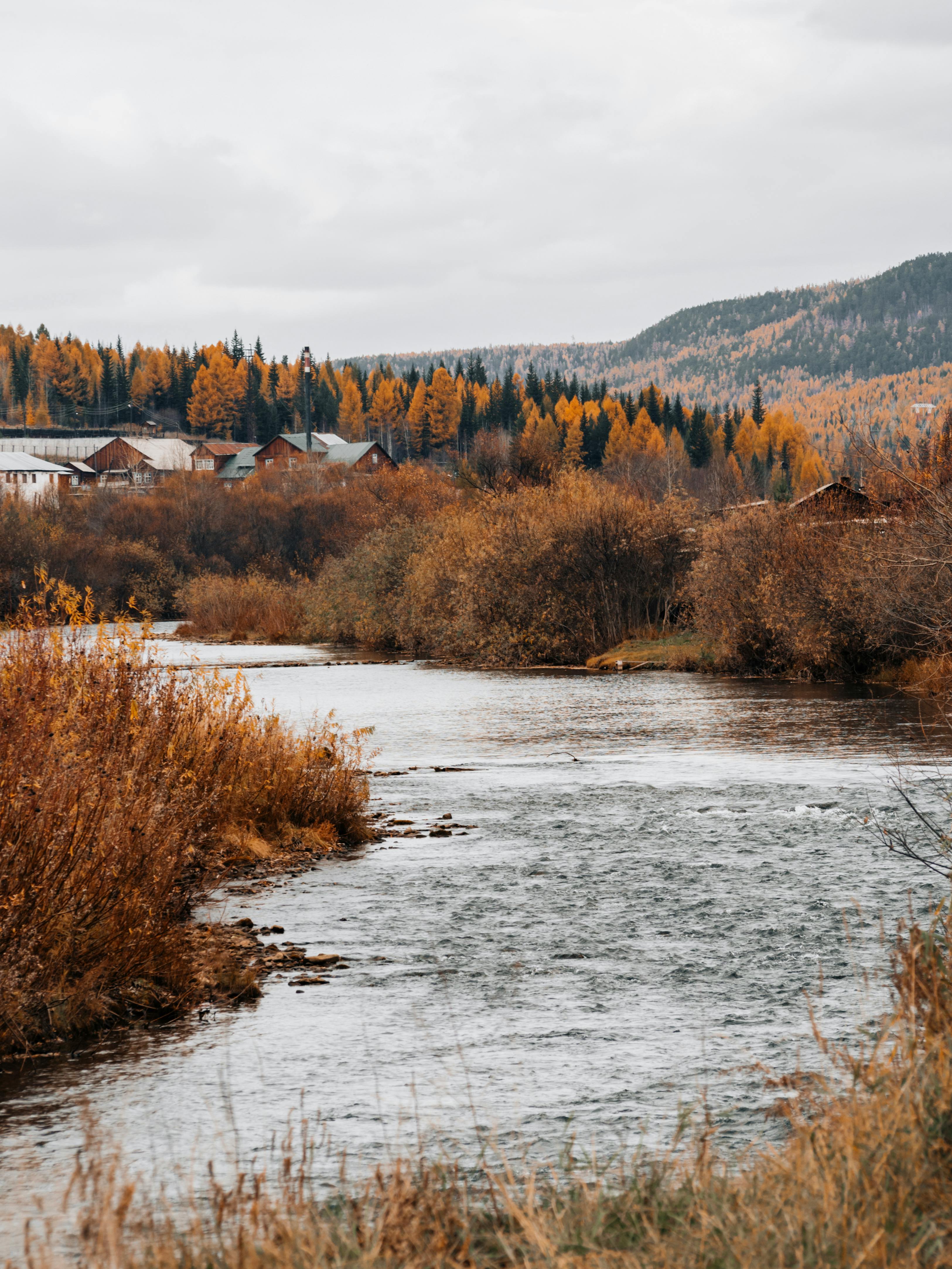 Scenic Autumn River in Ust-Kut, Russia · Free Stock Photo