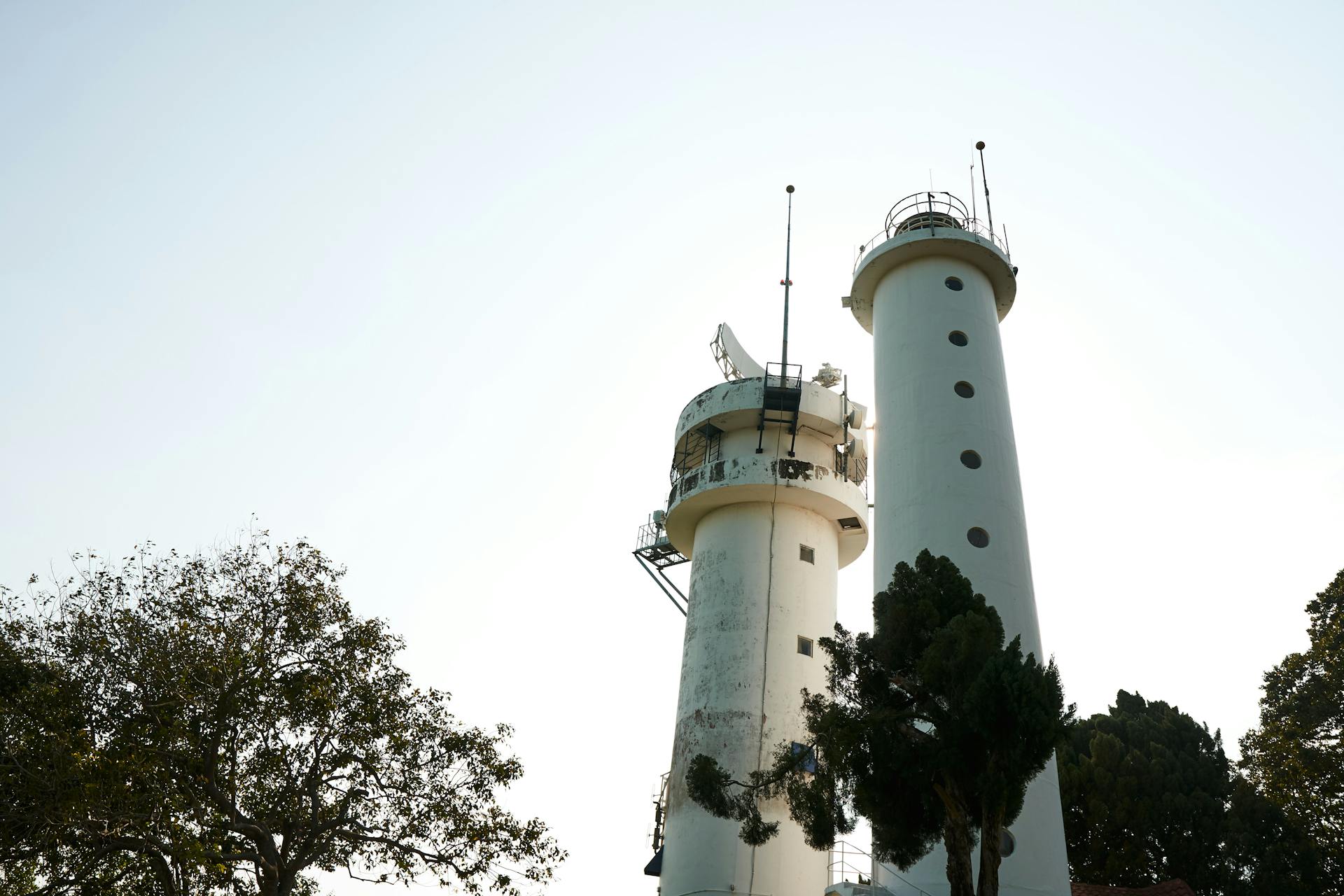 Animal welfare and rights in Malaysia:现状 and future