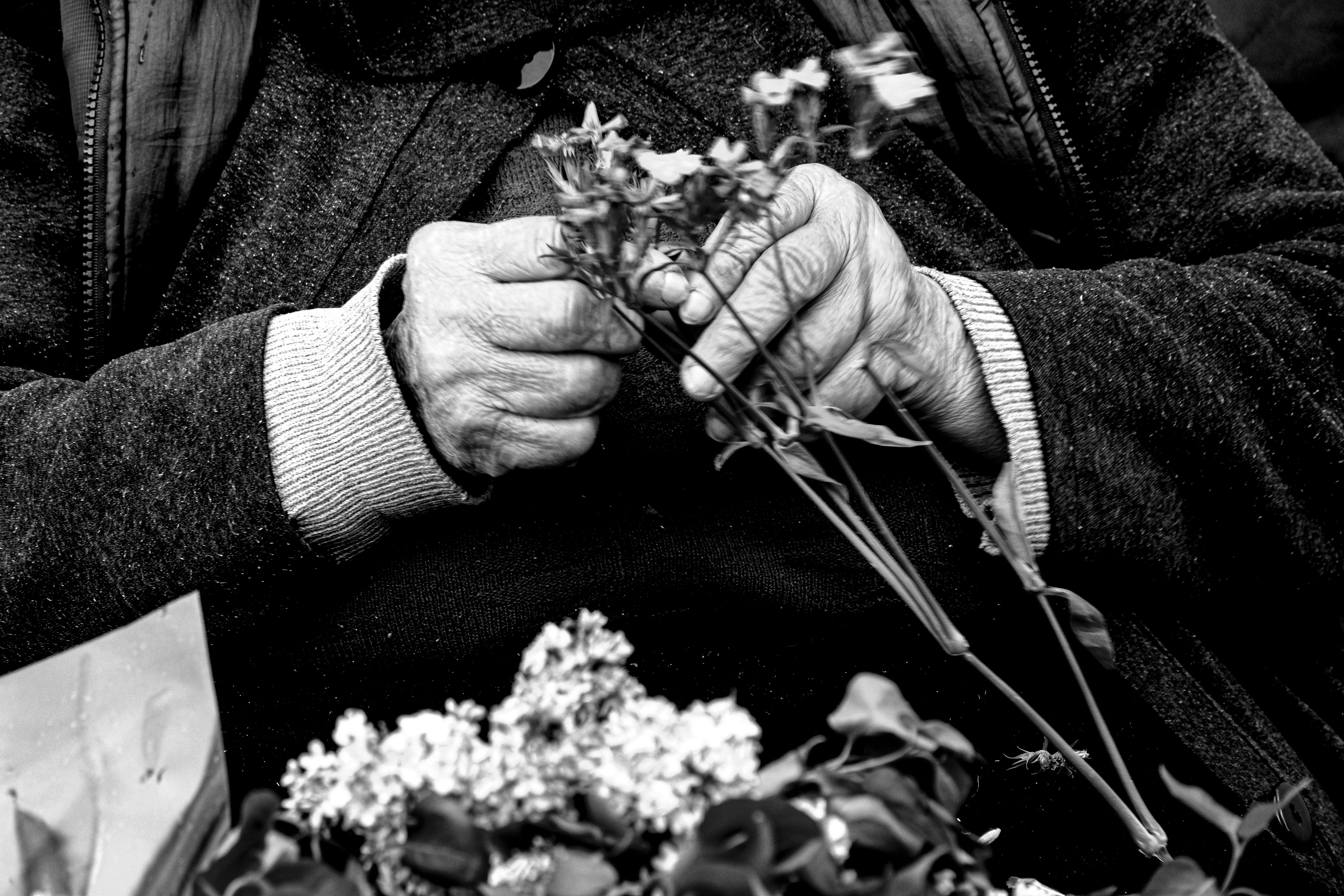 Close-Up of Artisan Hands Arranging Flowers · Free Stock Photo