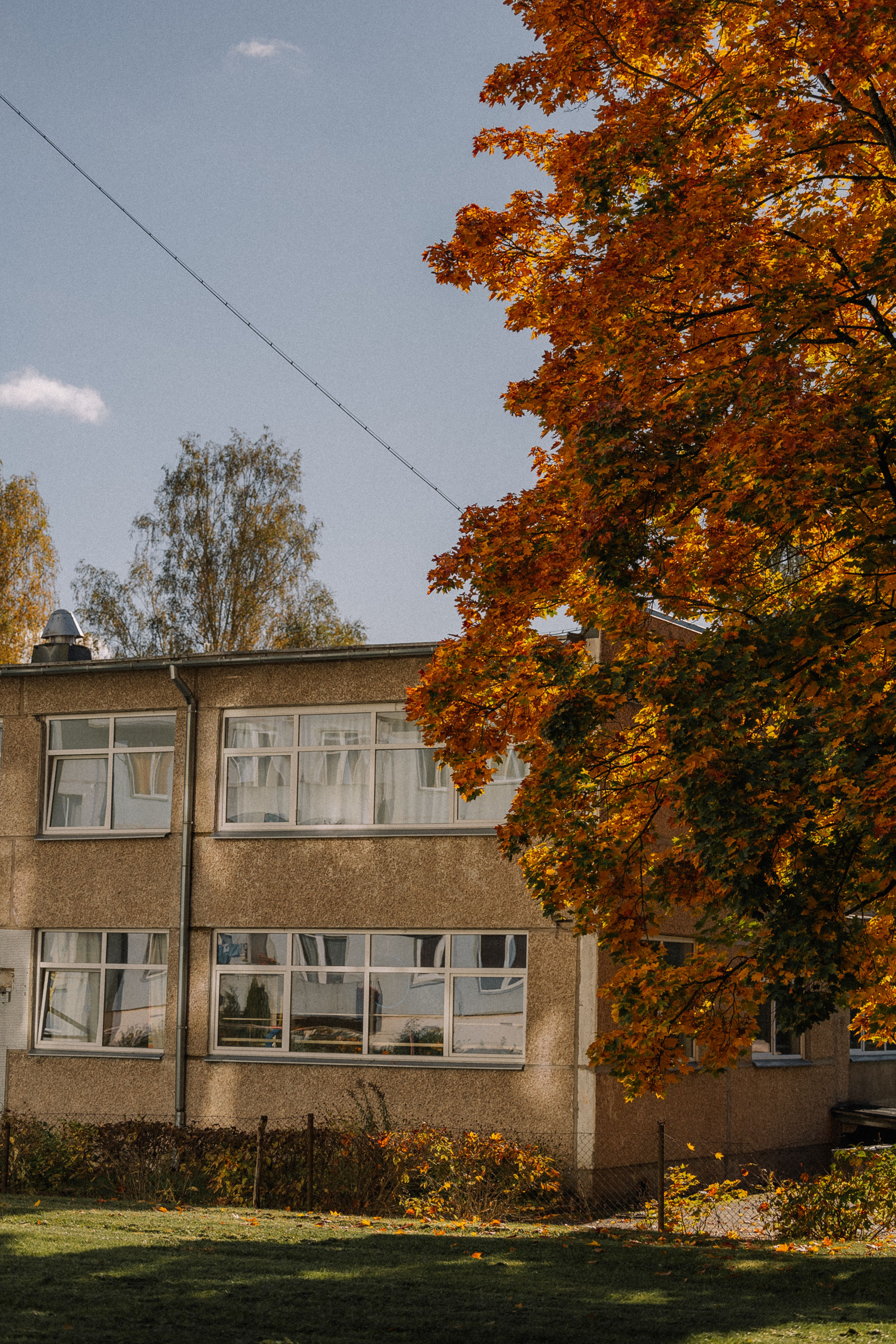 Autumn Leaves Near Residential Building · Free Stock Photo