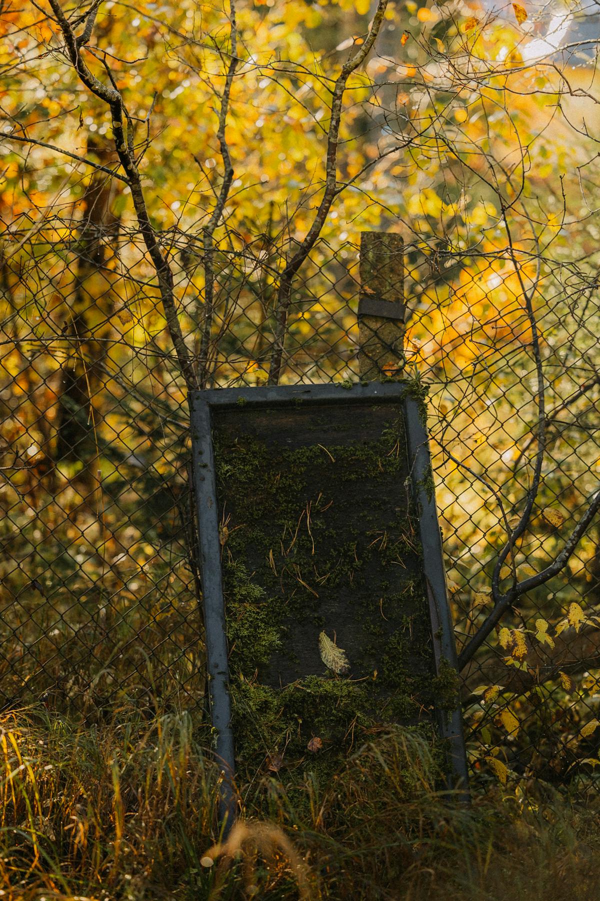 Cartoon Rust Photos, Download The BEST Free Cartoon Rust Stock Photos ...