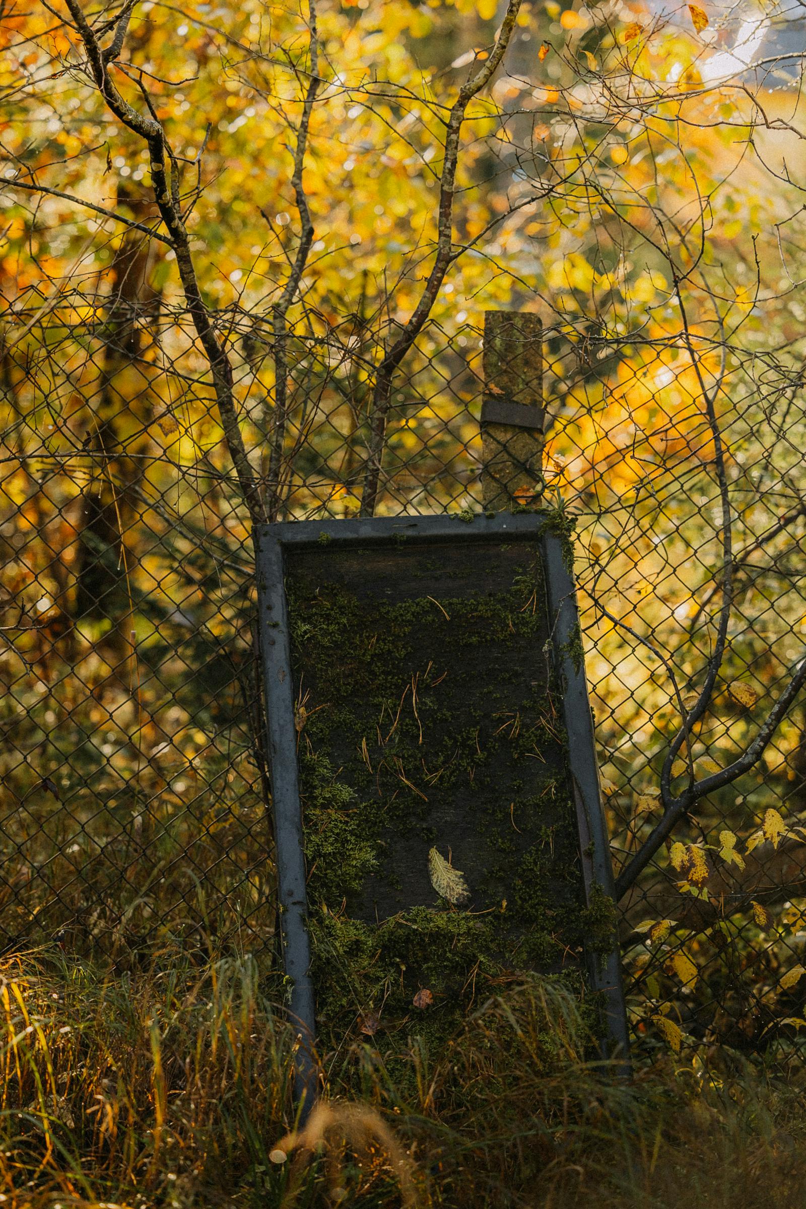 Cartoon Rust Photos, Download The BEST Free Cartoon Rust Stock Photos ...