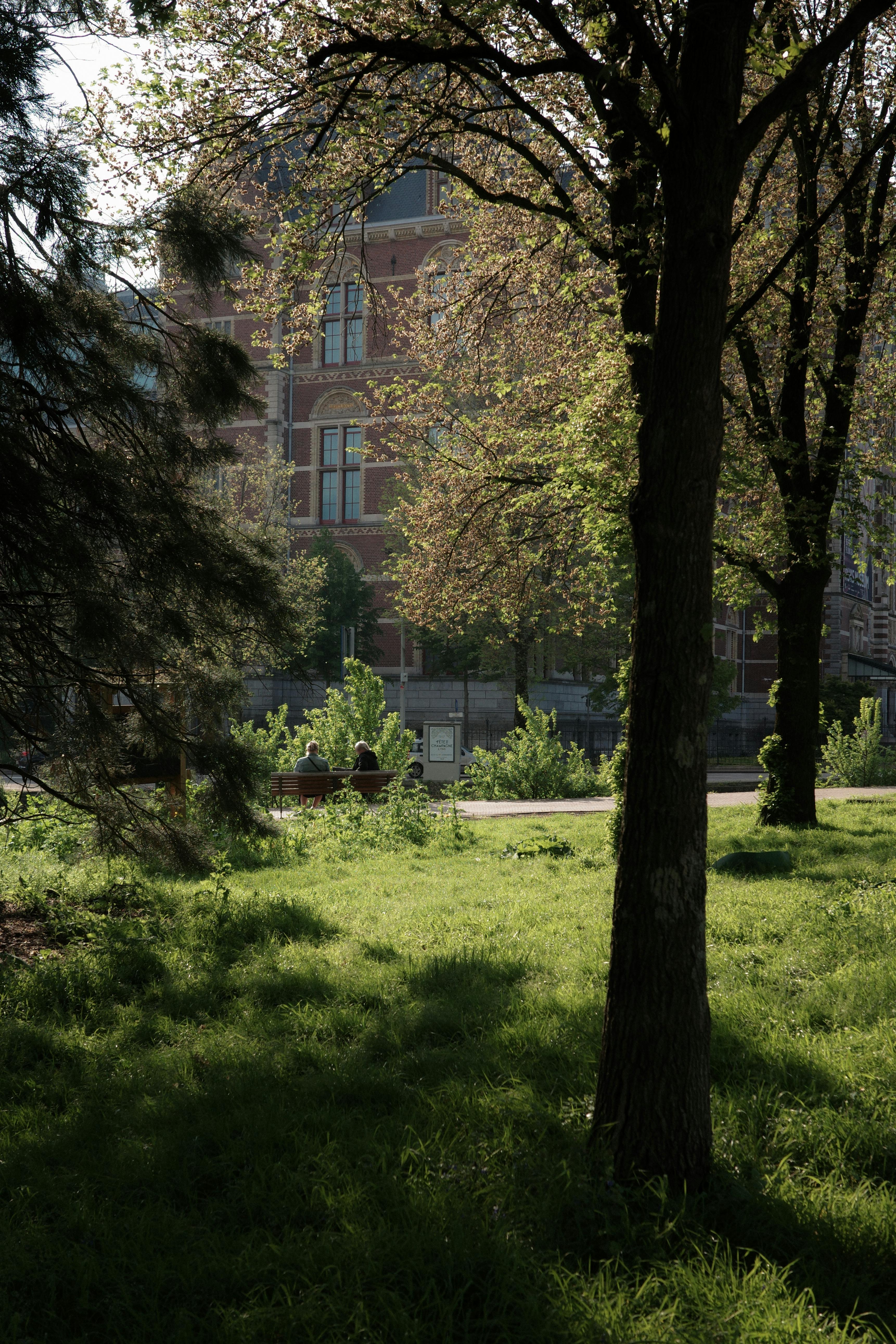 Peaceful Park Scene in Amsterdam · Free Stock Photo