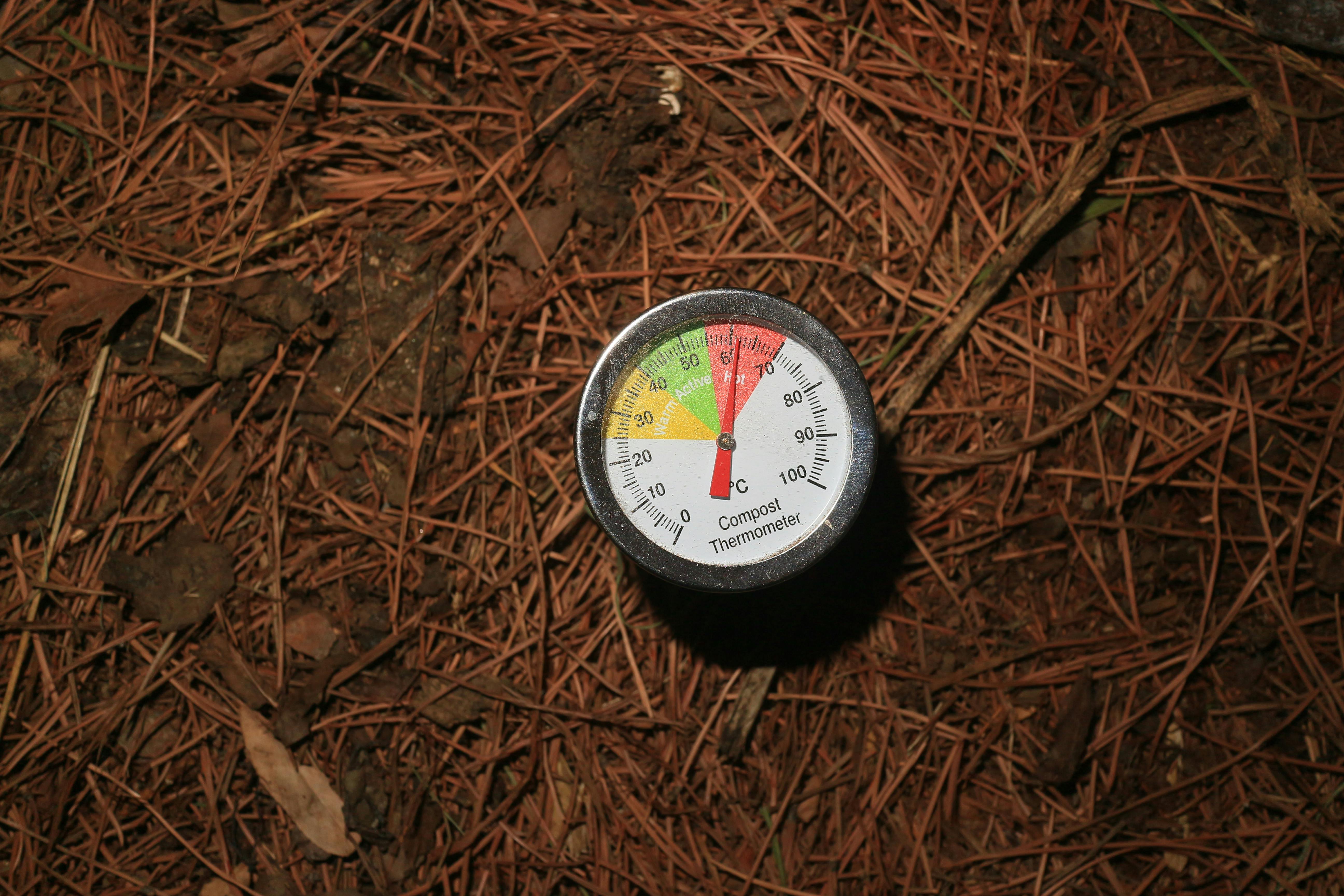 Compost Thermometer in Forest Soil Close-up · Free Stock Photo