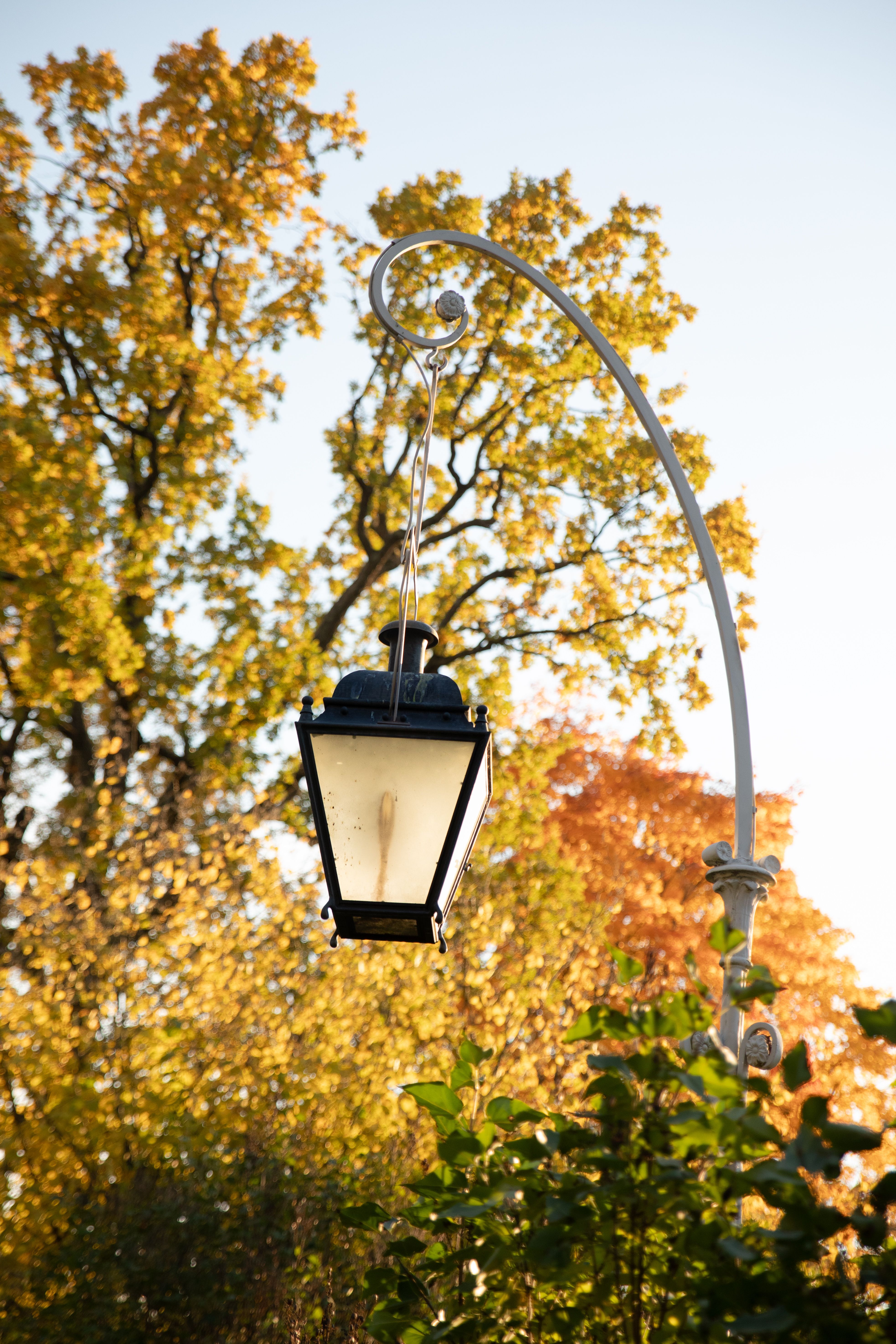 Vintage Street Lamp in Autumn Foliage · Free Stock Photo