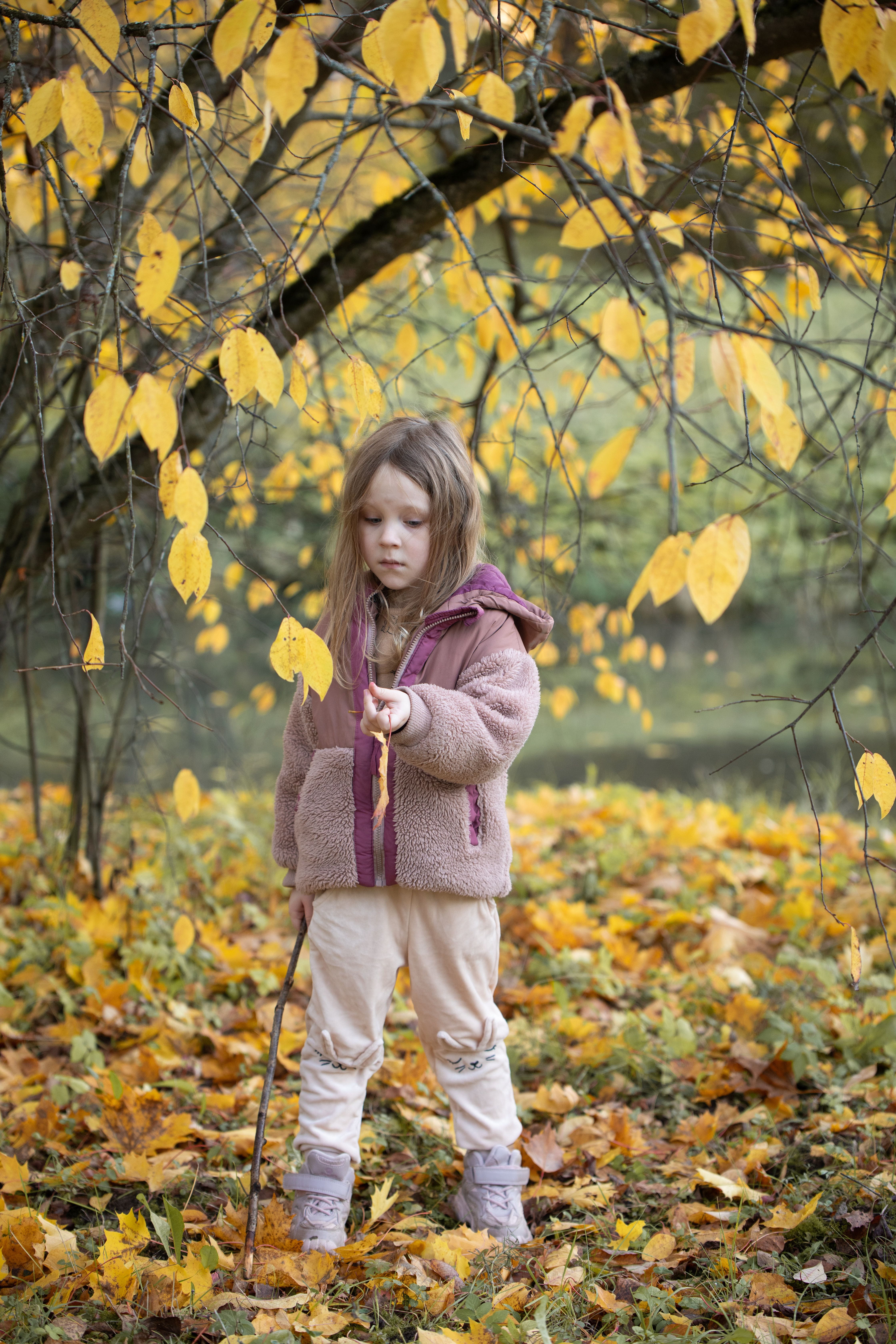 Child Exploring Autumn Leaves in Park · Free Stock Photo