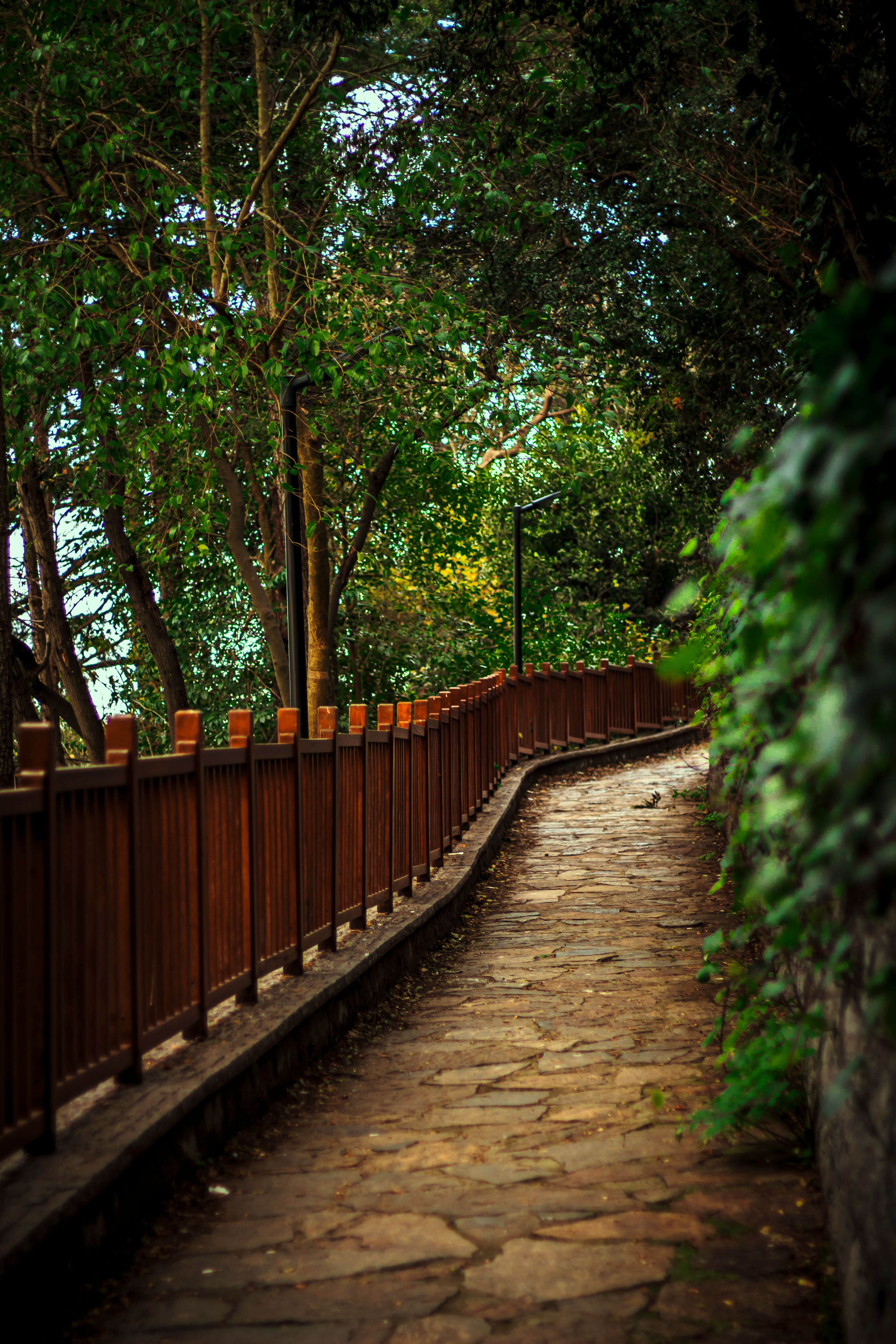Greenway Trail Photos, Download The BEST Free Greenway Trail Stock ...