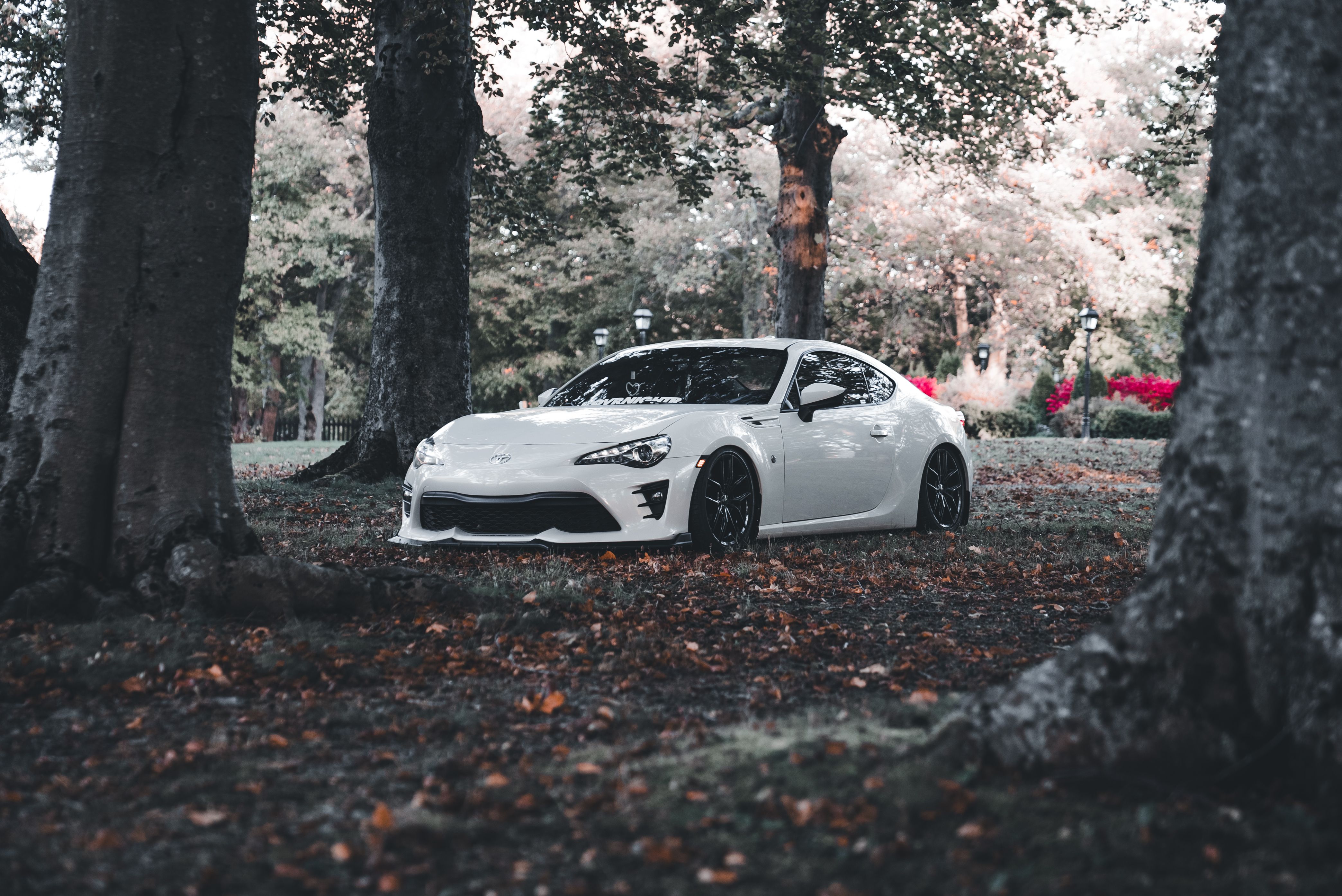 Sleek White Sports Car in an Autumn Forest Setting · Free Stock Photo