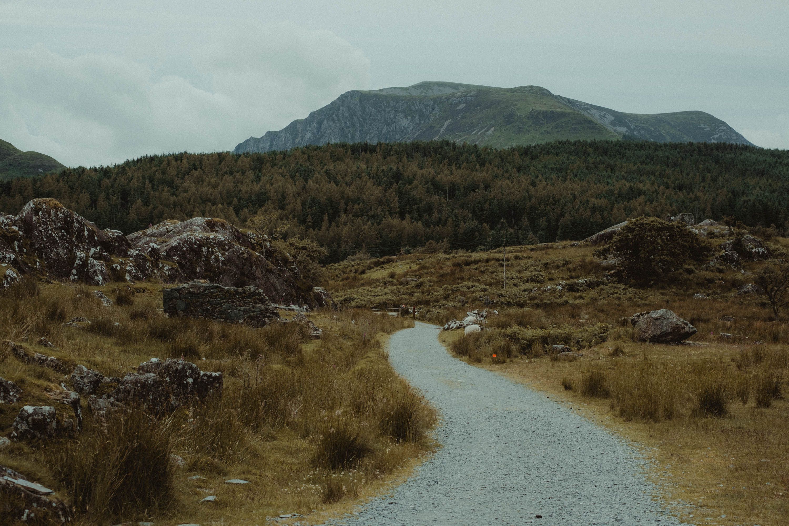 Scenic Mountain Pathway in Wales Landscape · Free Stock Photo