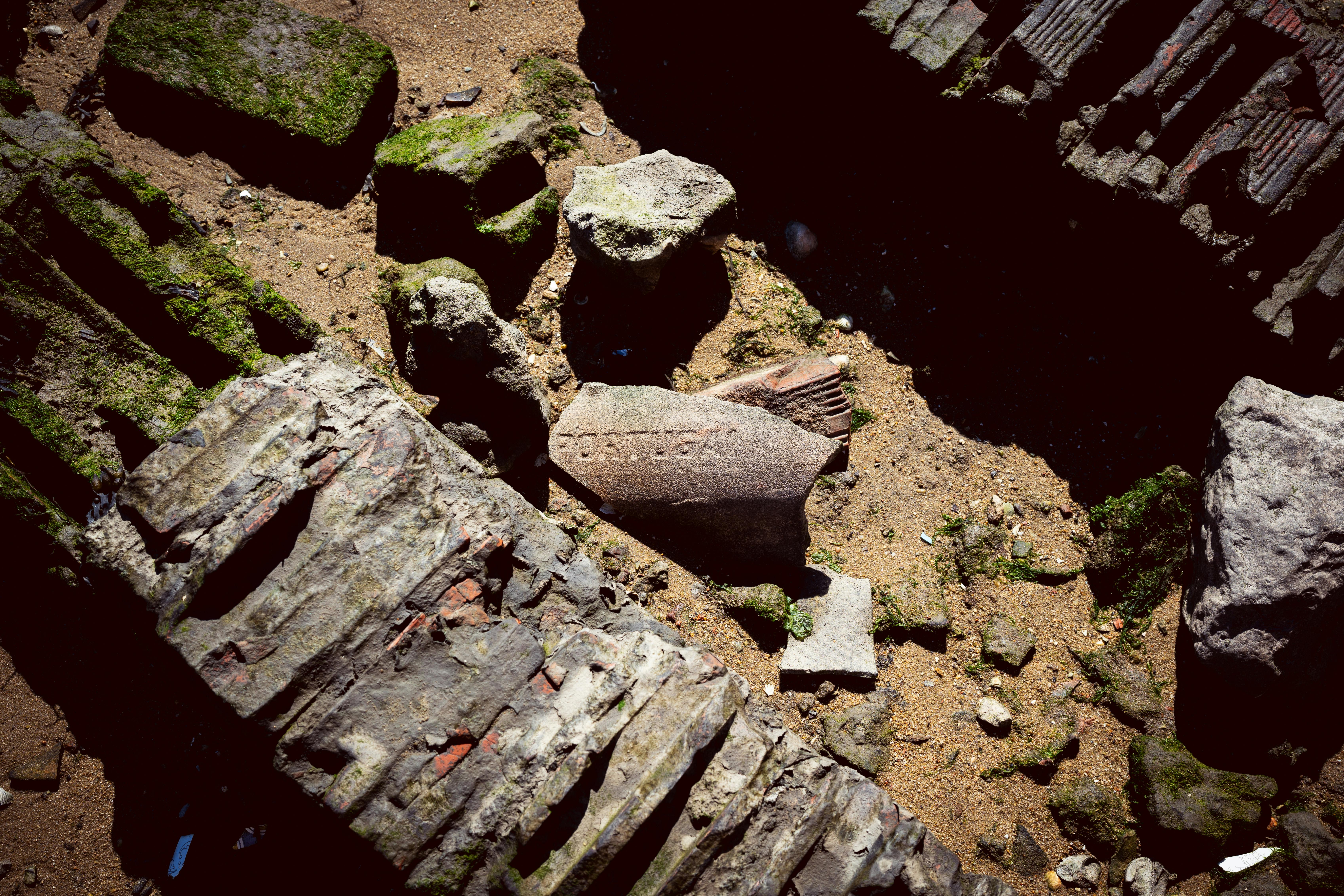 Ancient Ruins with Moss and Brick Textures · Free Stock Photo