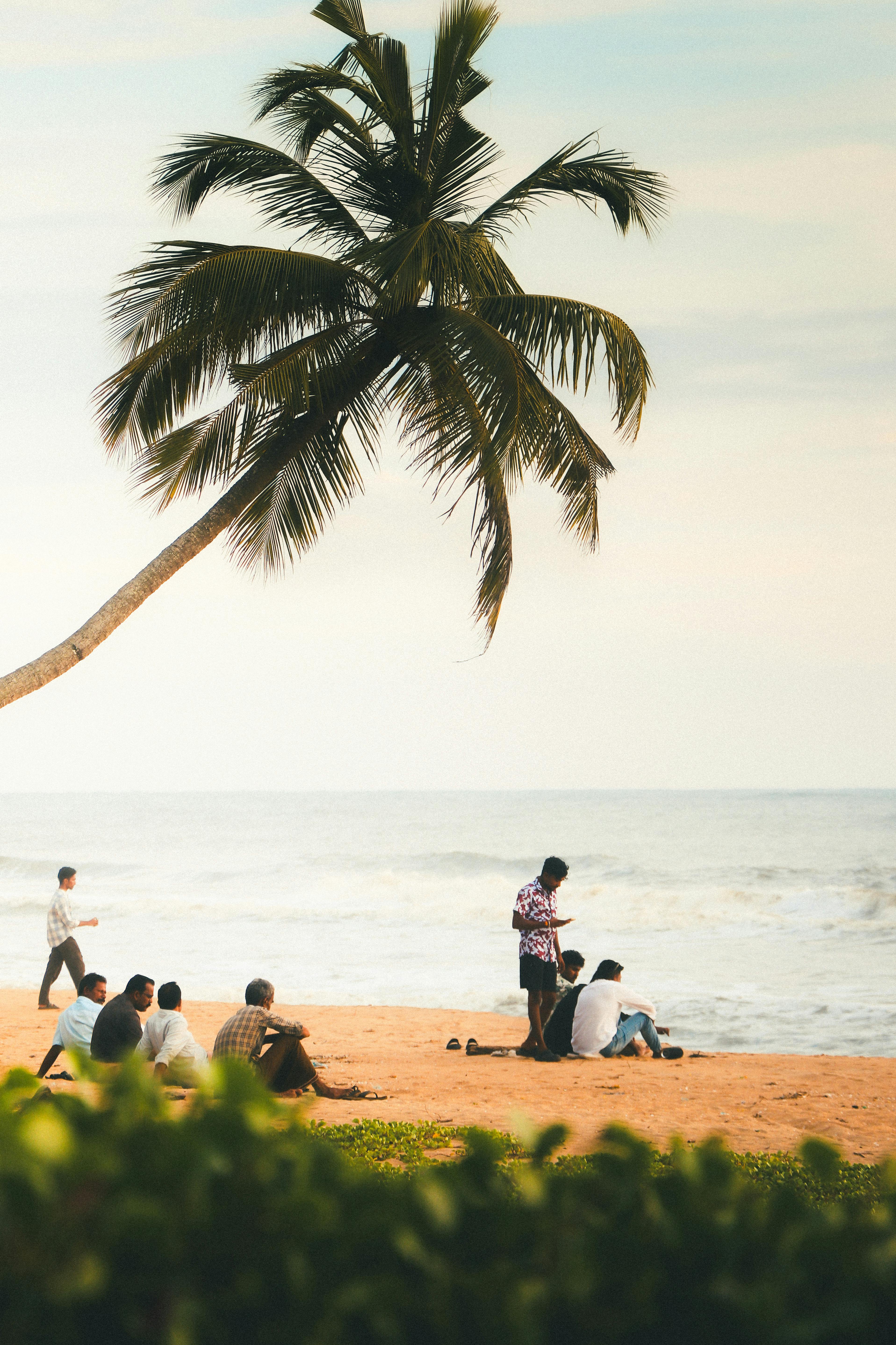 Serene Evening on Vadanappally Beach, Kerala · Free Stock Photo