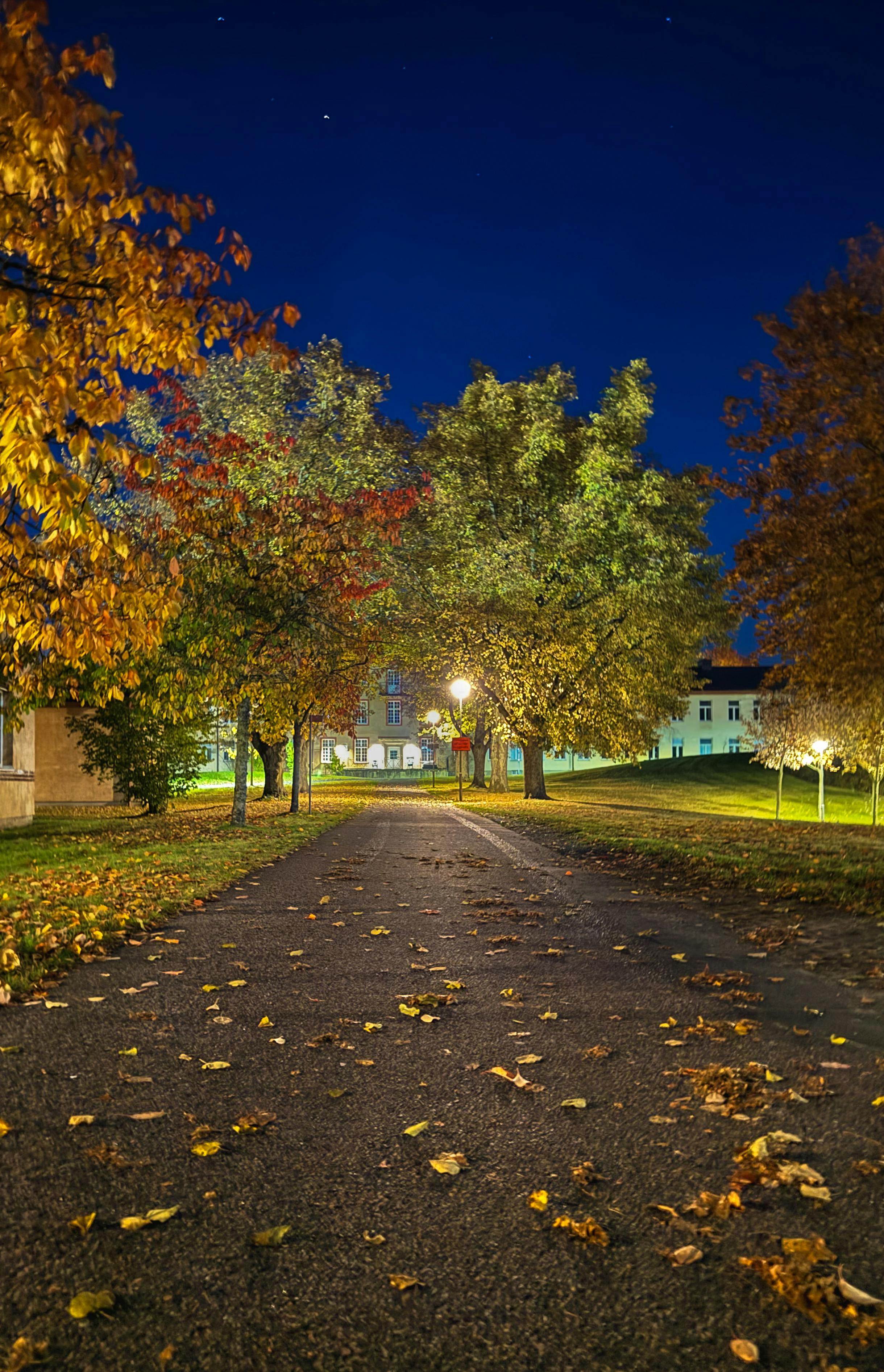 Nighttime Urban Park Path with Autumn Leaves · Free Stock Photo