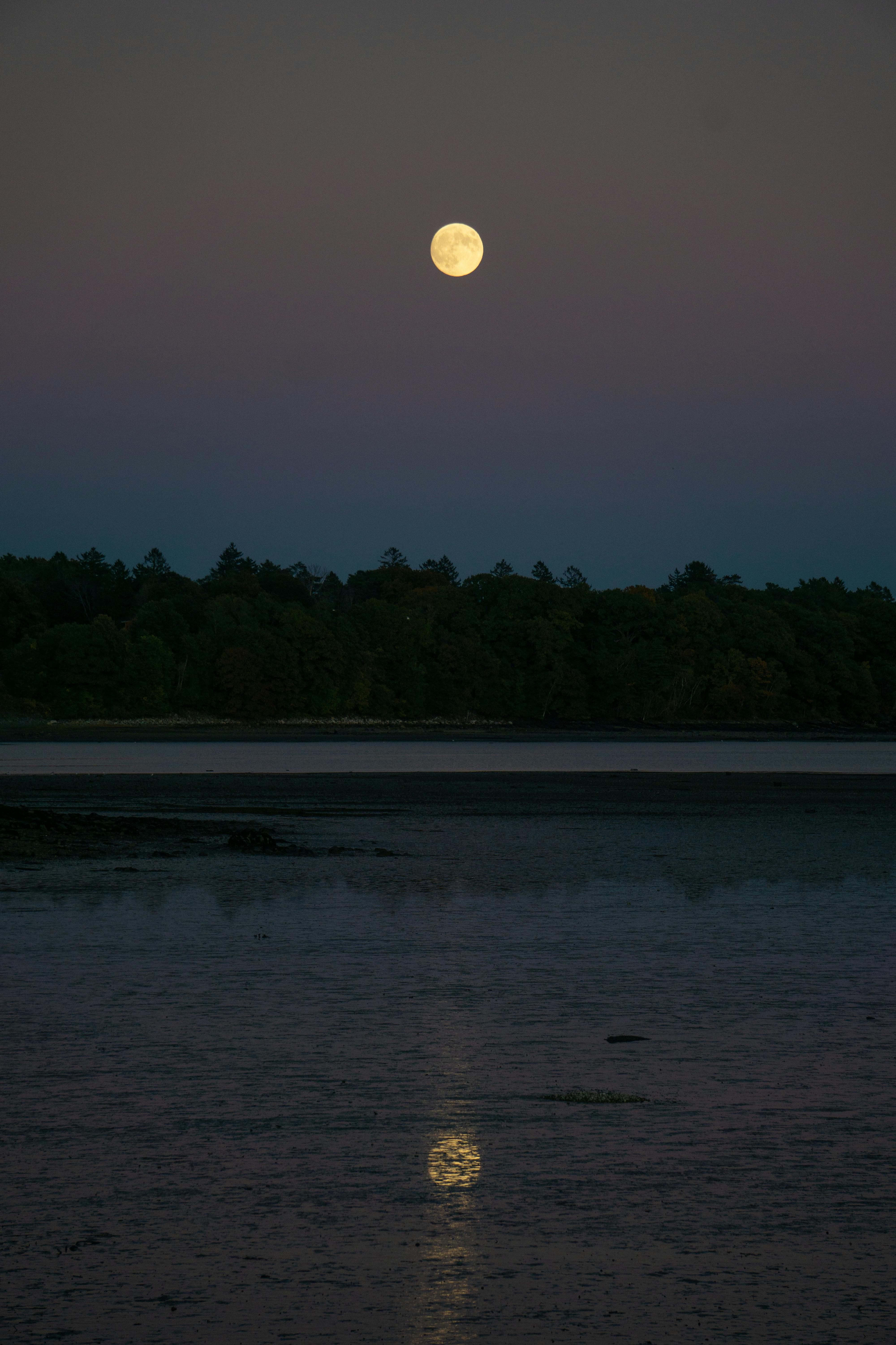 Full Moon Over Forest and Water Reflection · Free Stock Photo