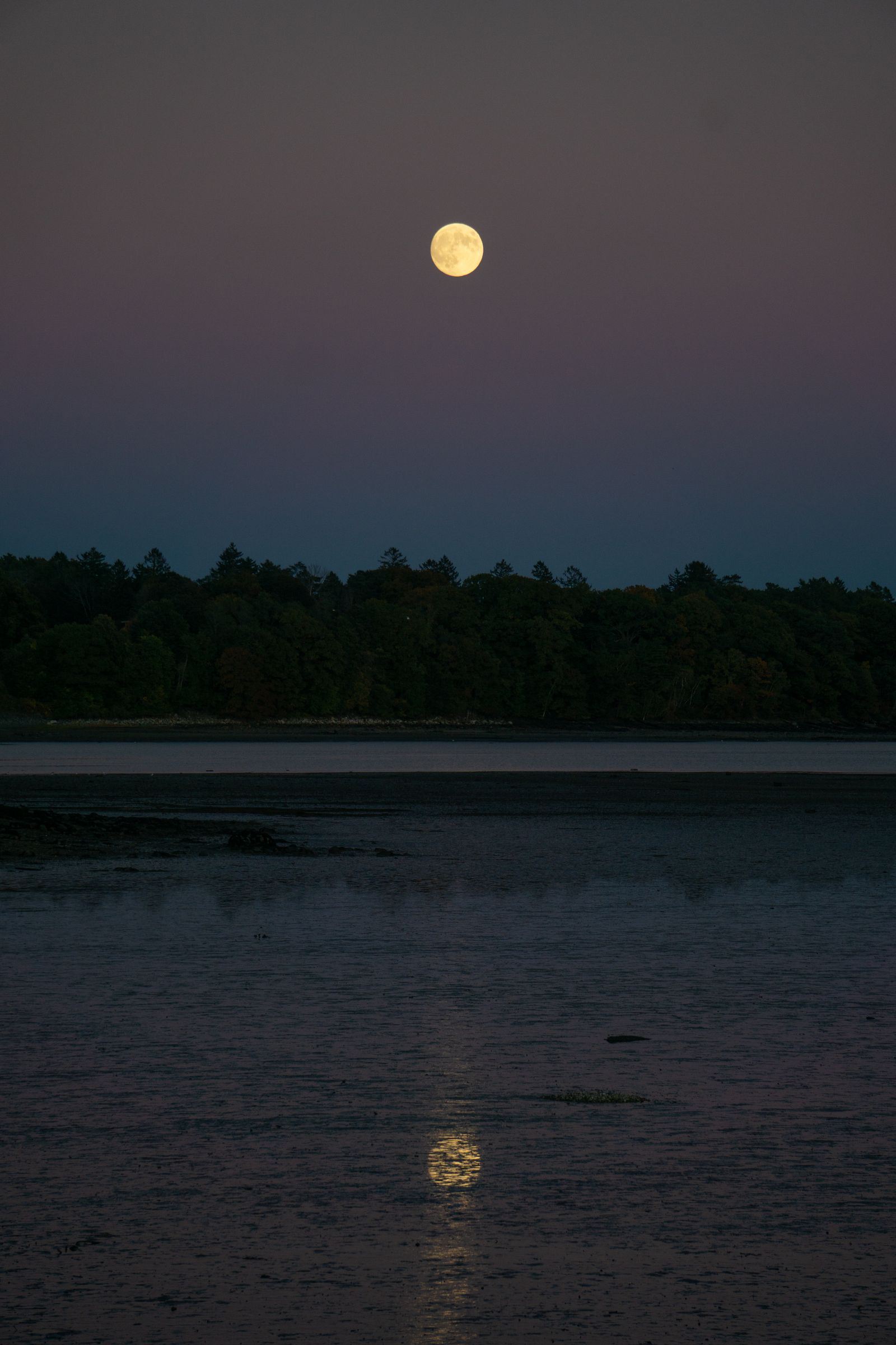 A Full Moon Reflection In Water Photos, Download The BEST Free A Full ...