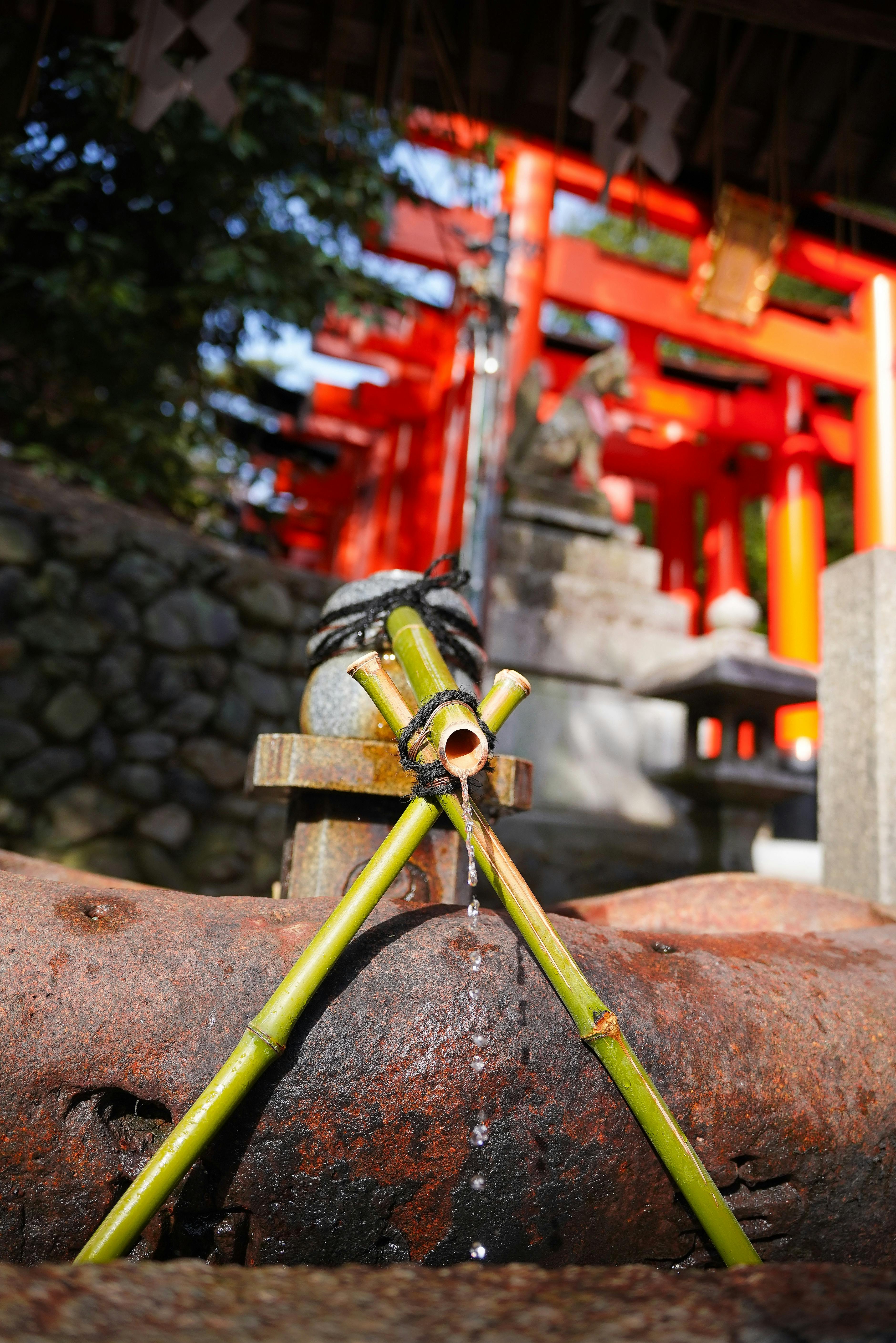 Traditional Japanese Water Fountain and Torii Gates · Free Stock Photo