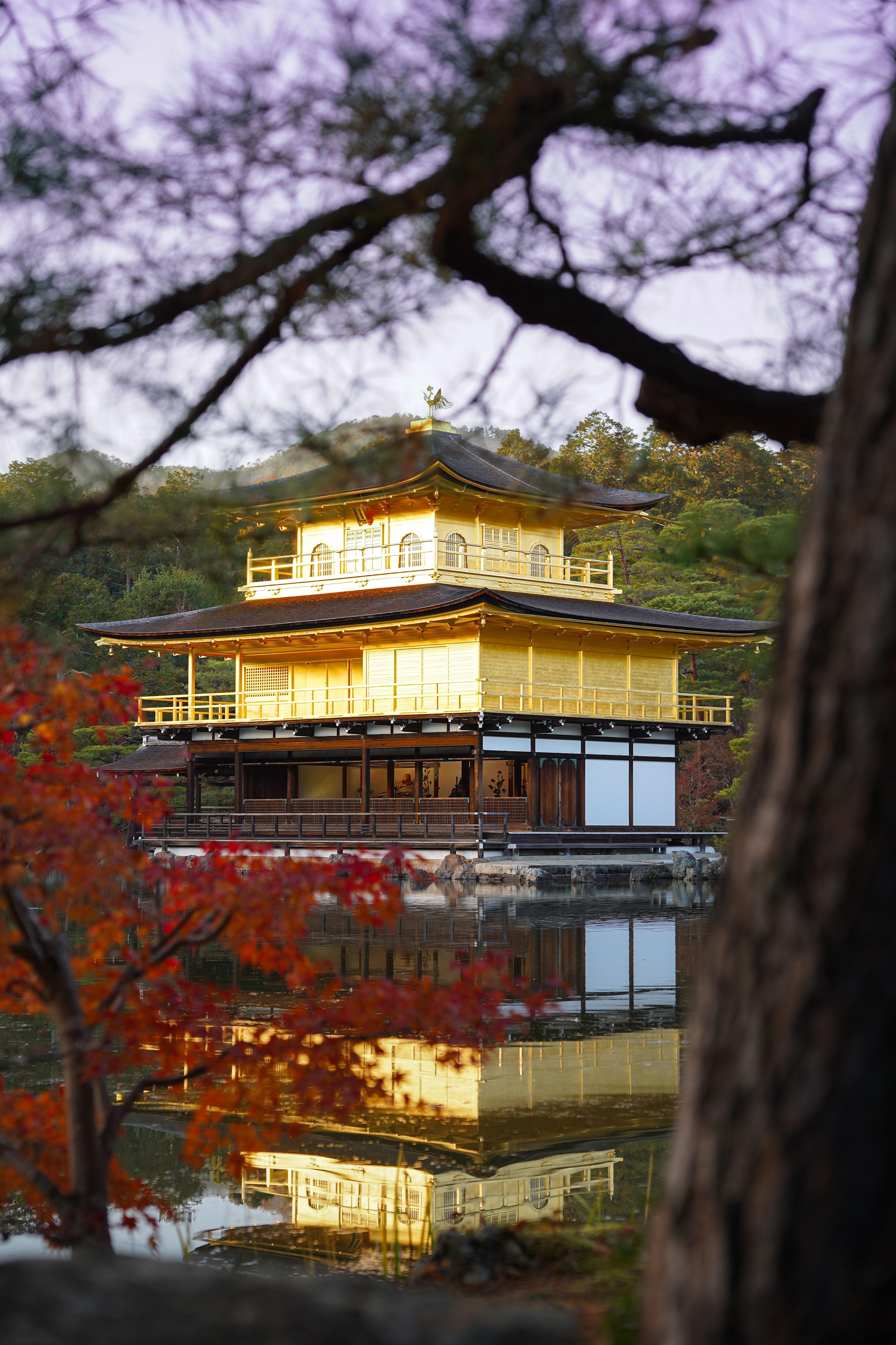 Yamashiro Photos, Download The BEST Free Yamashiro Stock Photos & HD Images