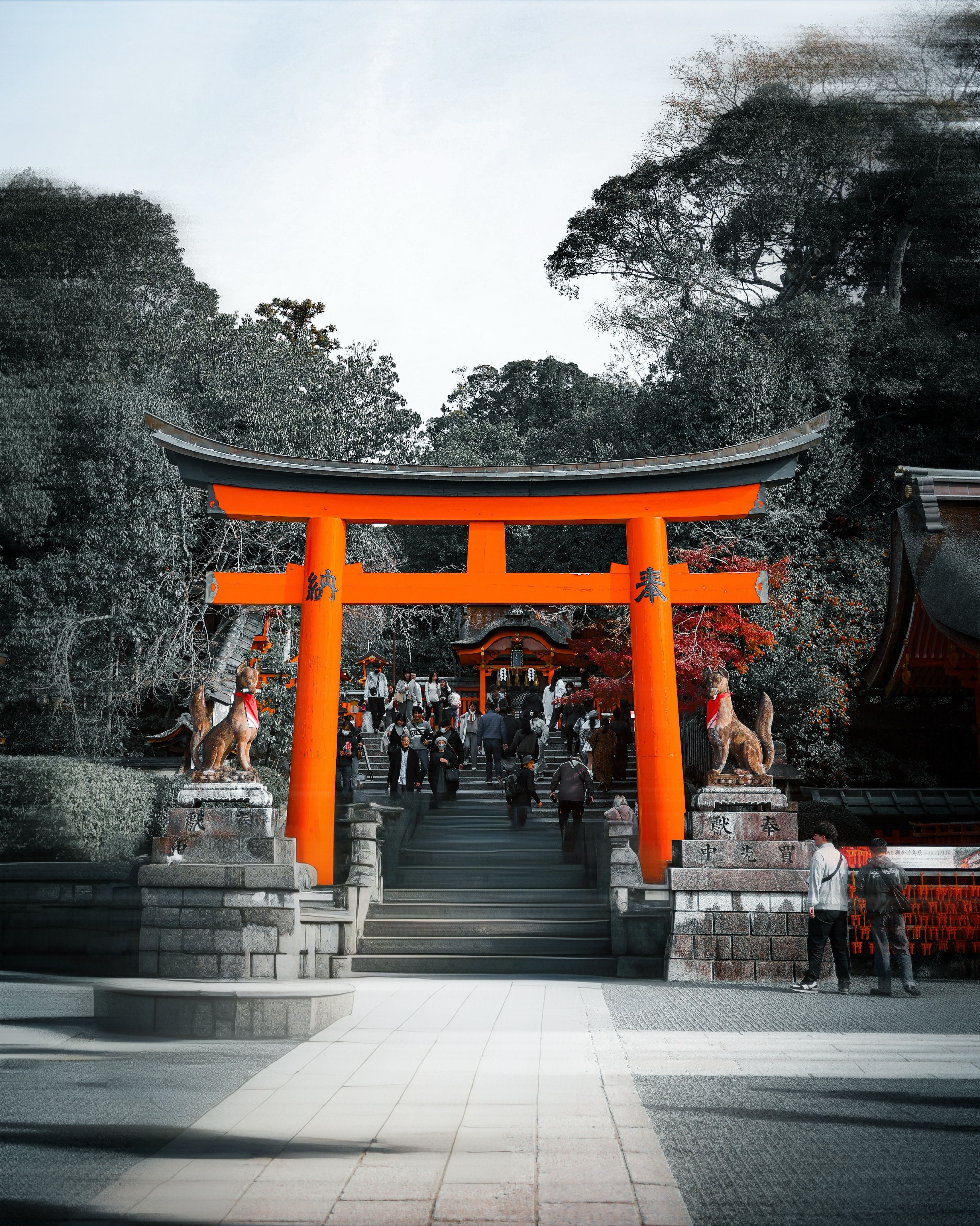 Gerbang Torii Yang Semarak Di Kuil Fushimi Inari · Foto Stok Gratis