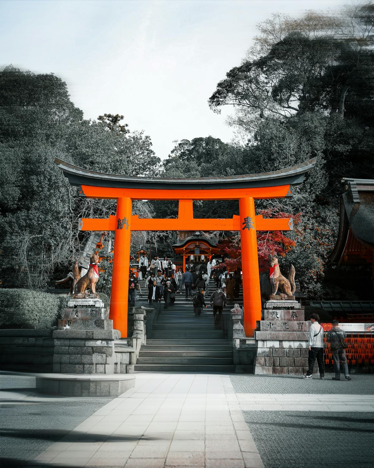 Wallpaper Flare 4kman Near Torii Gate ,Gray Temple Wallpaper, Landscape ...