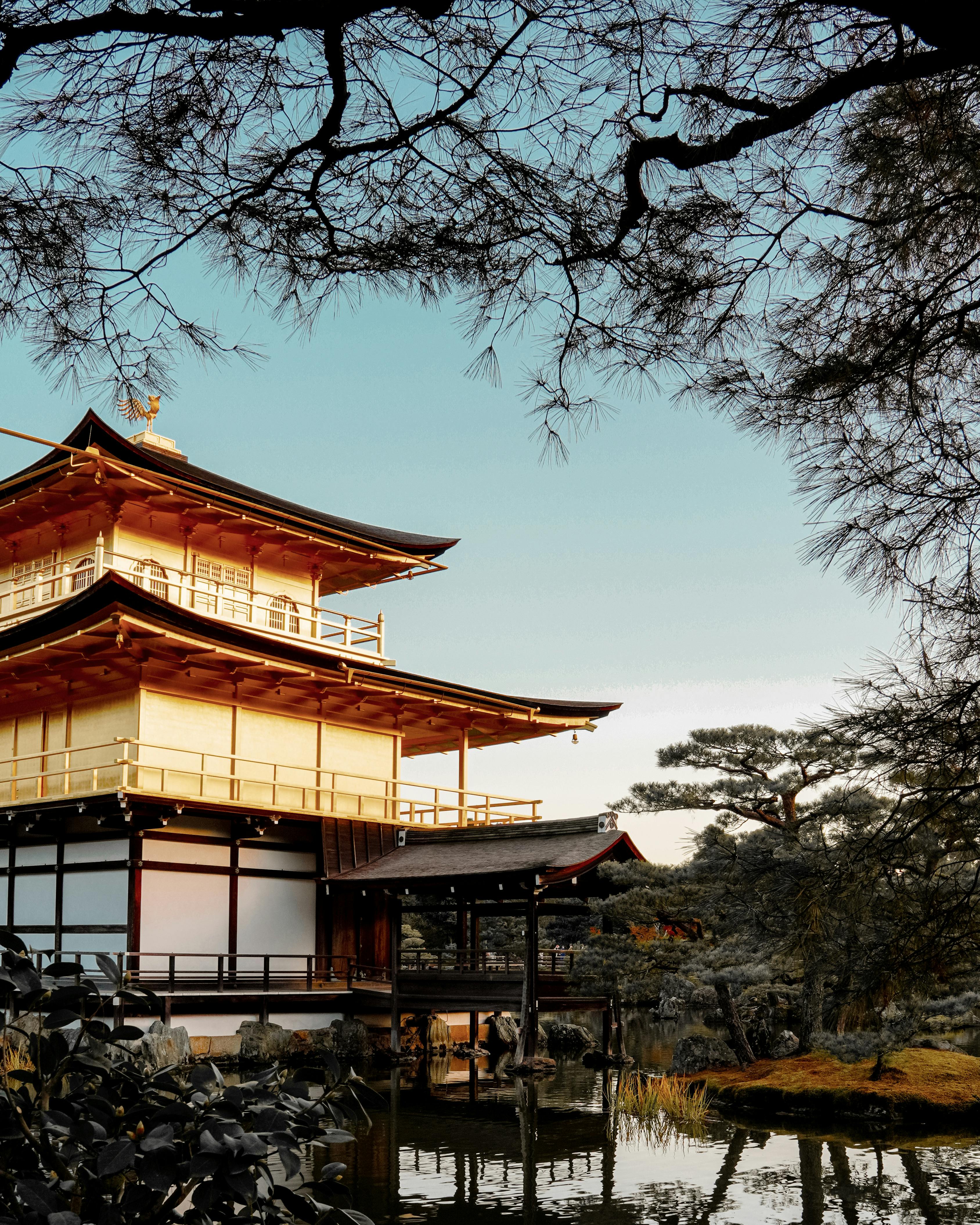 Ryan Ji Photos, Download The BEST Free Ryan Ji Stock Photos & HD Images