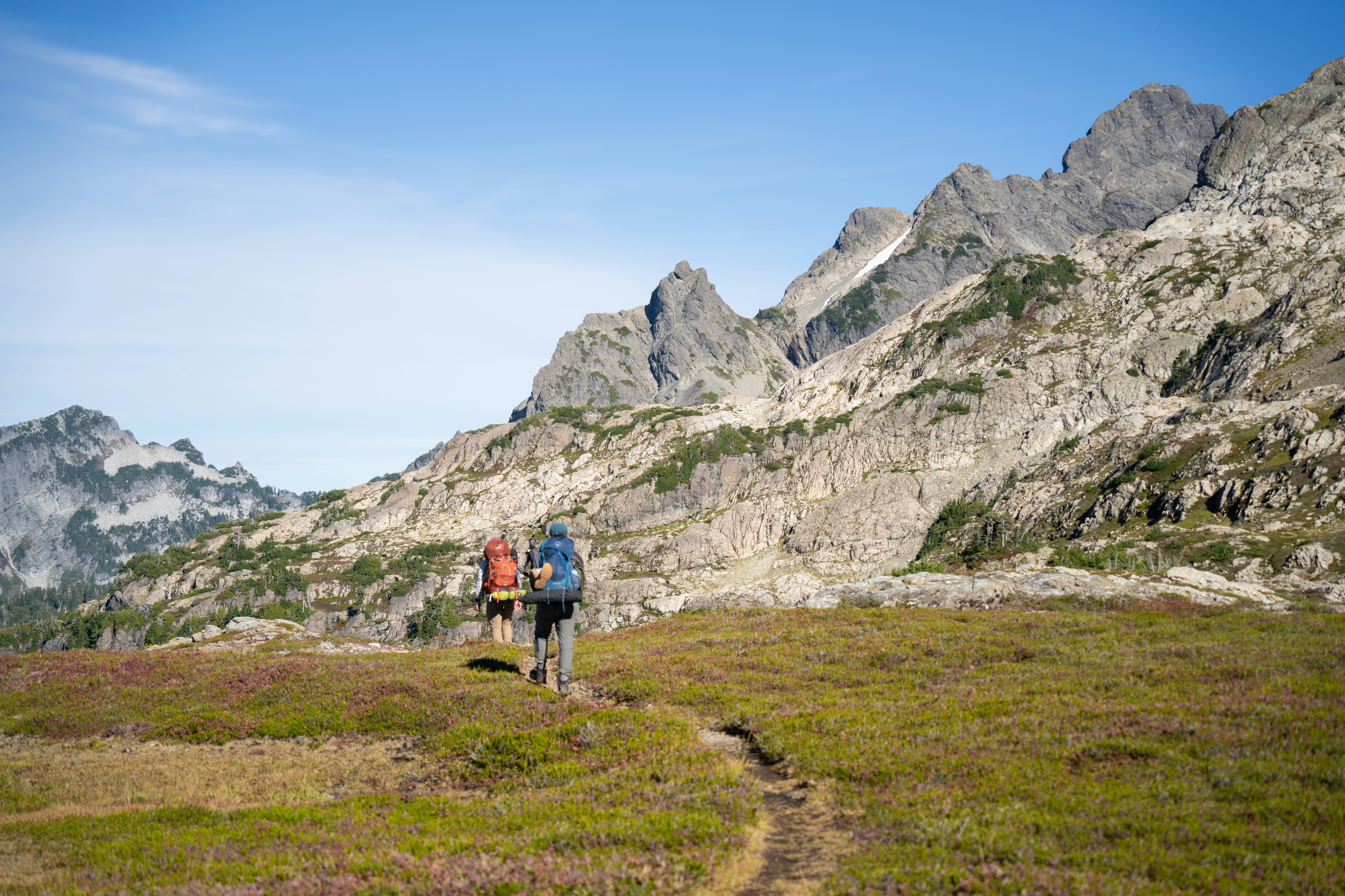 Hiker Exploring Scenic Mt. Baker View in Washington · Free Stock Photo
