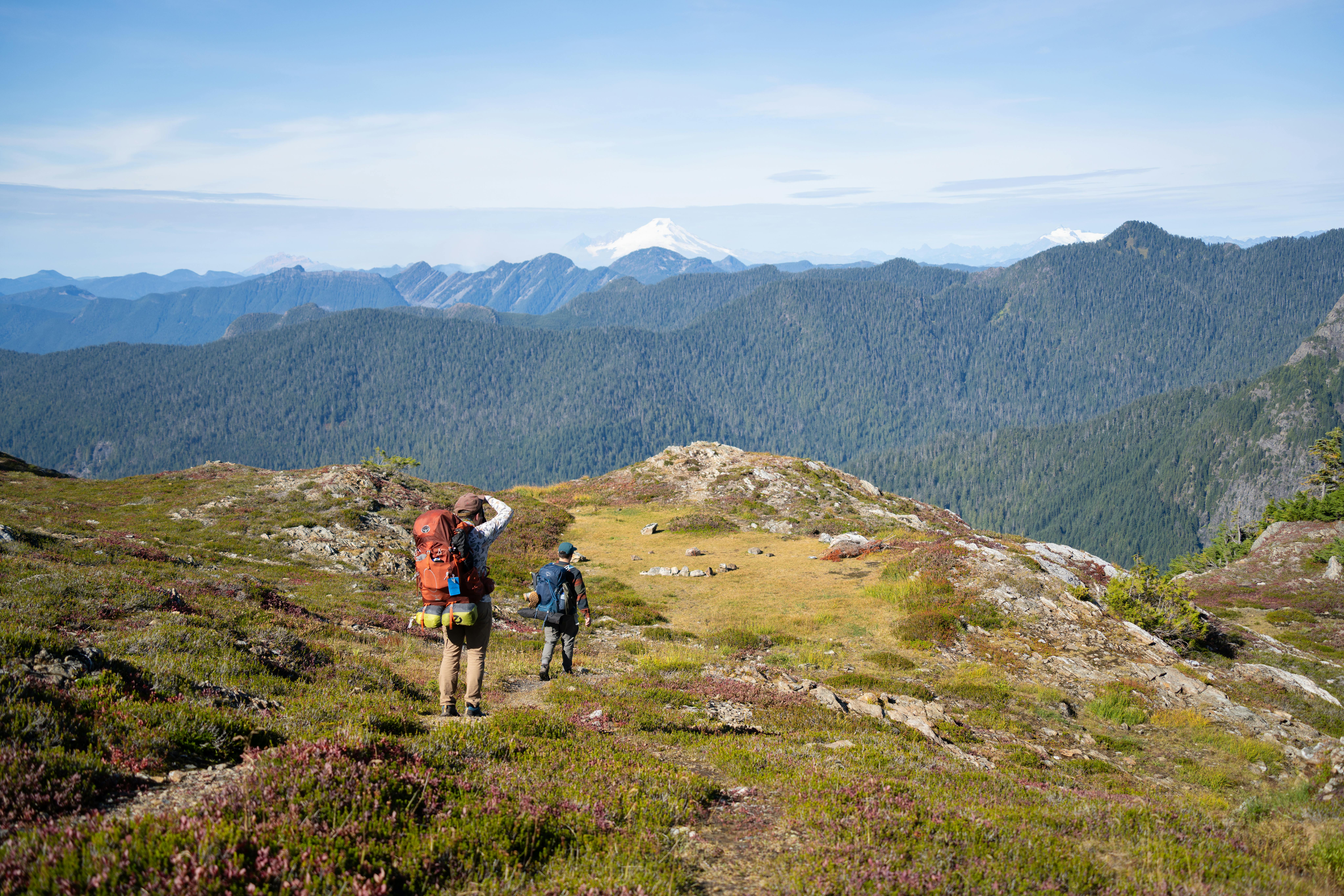 Scenic Mountain Hiking Trail in Washington State · Free Stock Photo