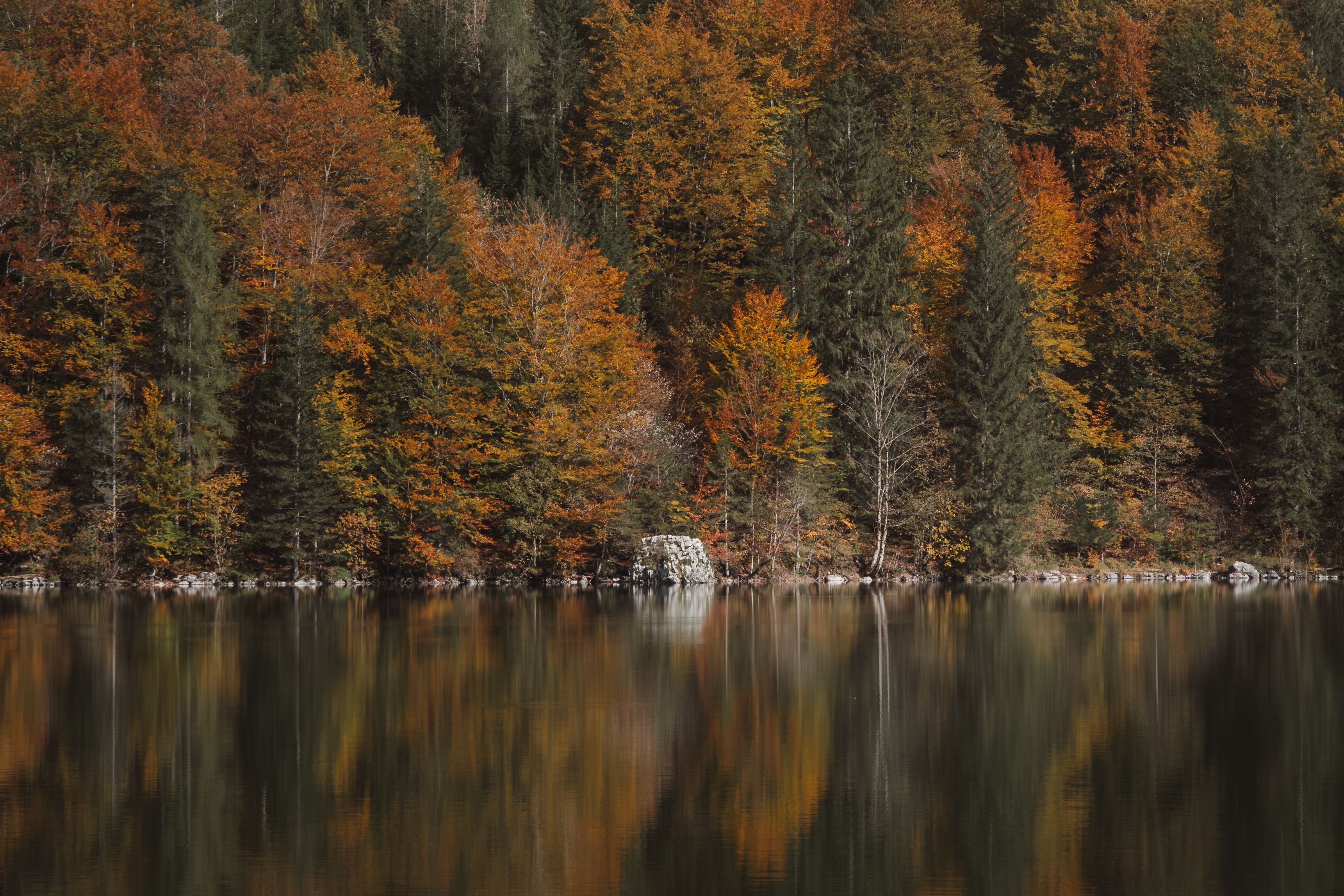 Calm And Quiet Photos, Download The BEST Free Calm And Quiet Stock ...