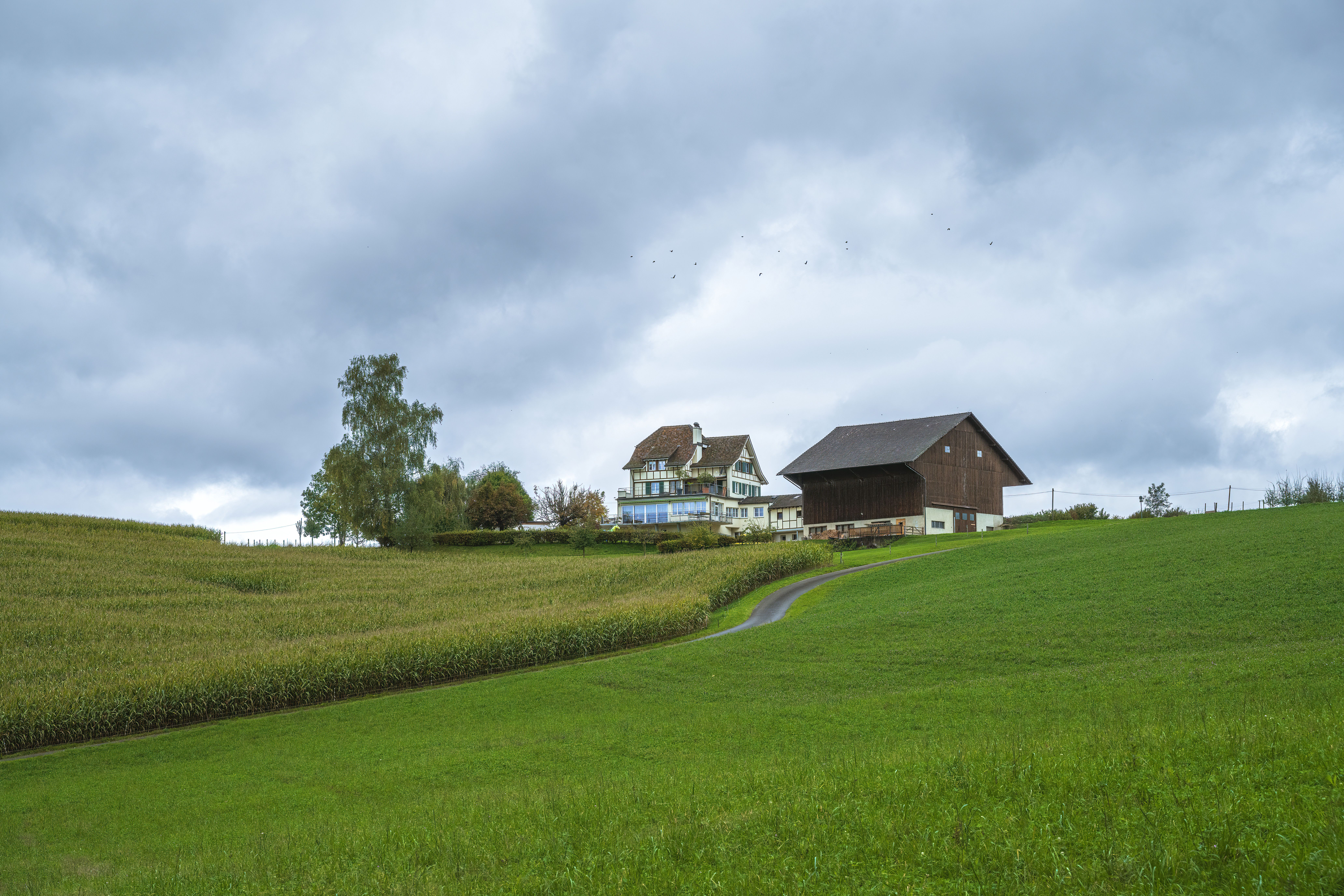 Scenic Countryside Farmhouse and Barn · Free Stock Photo