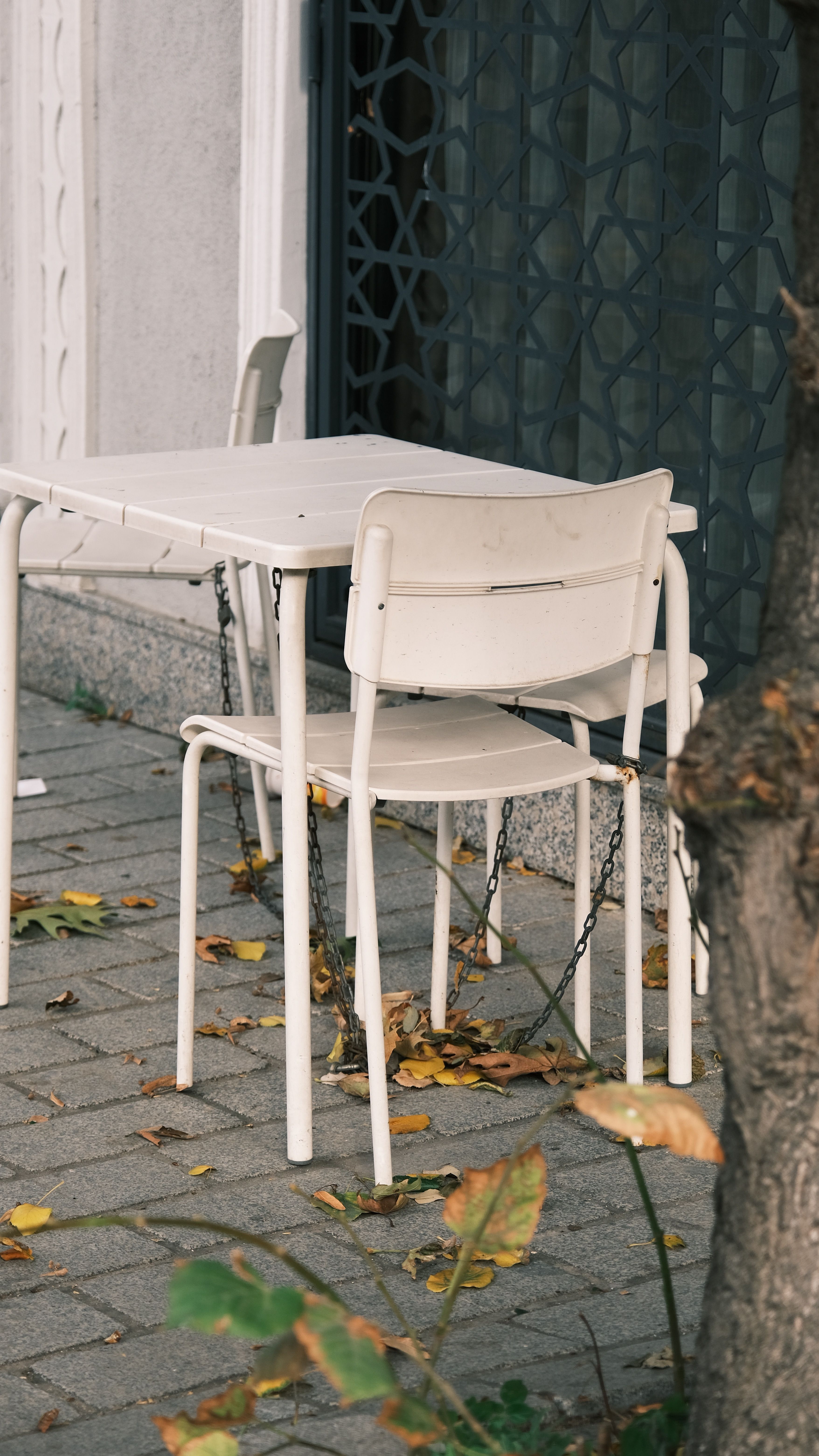 Outdoor Cafe Table with Fall Leaves · Free Stock Photo
