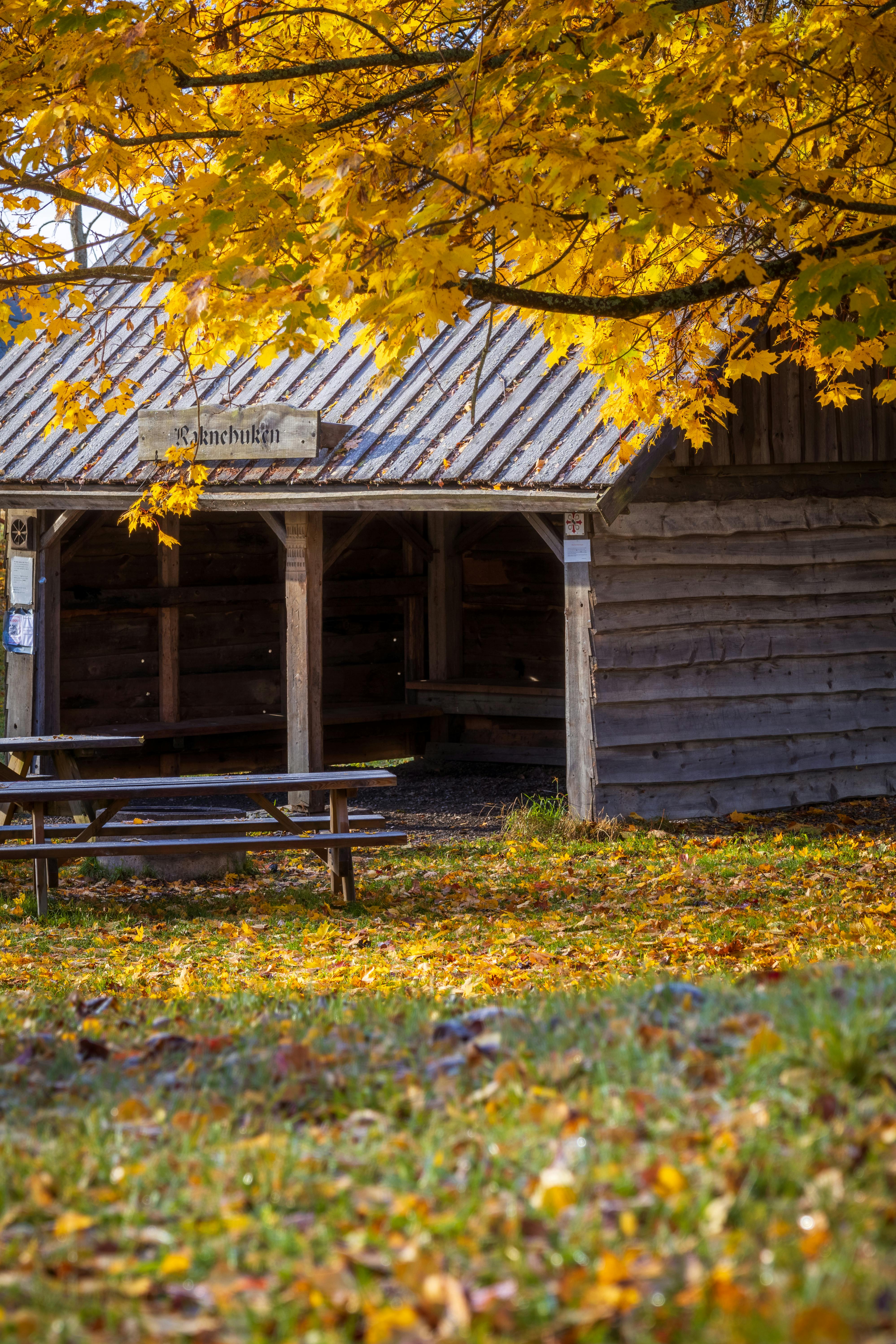 Rustic Wooden Shelter amidst Autumn Foliage · Free Stock Photo