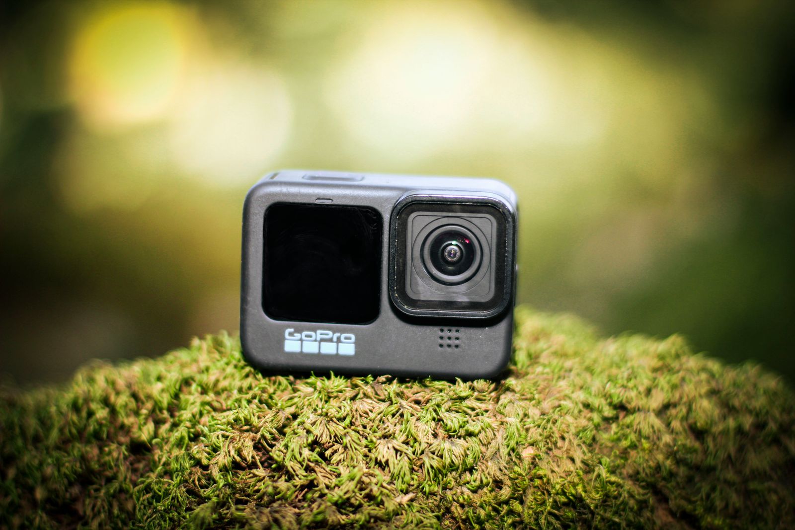 Go Pro Photos, Download The BEST Free Go Pro Stock Photos & HD Images