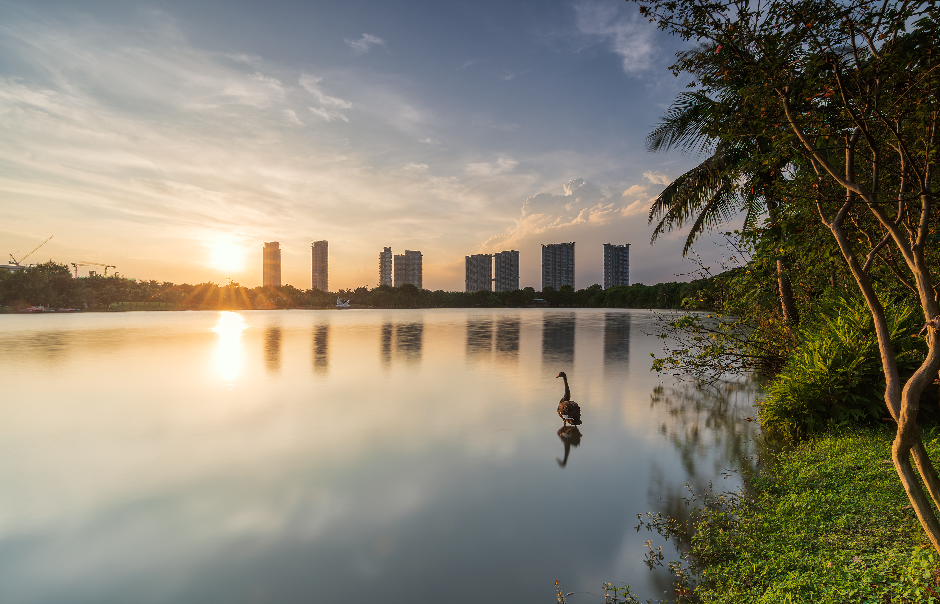 Tranquil Sunset Over Urban Lake Landscape · Free Stock Photo
