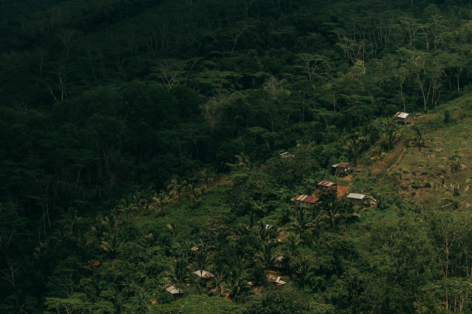 Philippine Tamaraw Photos, Download The BEST Free Philippine Tamaraw ...